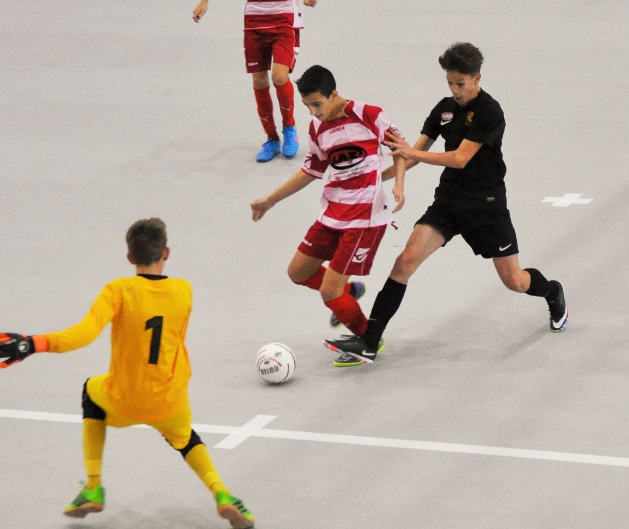 Starke Leistung des LAZ Wels - Wels & Wels Land