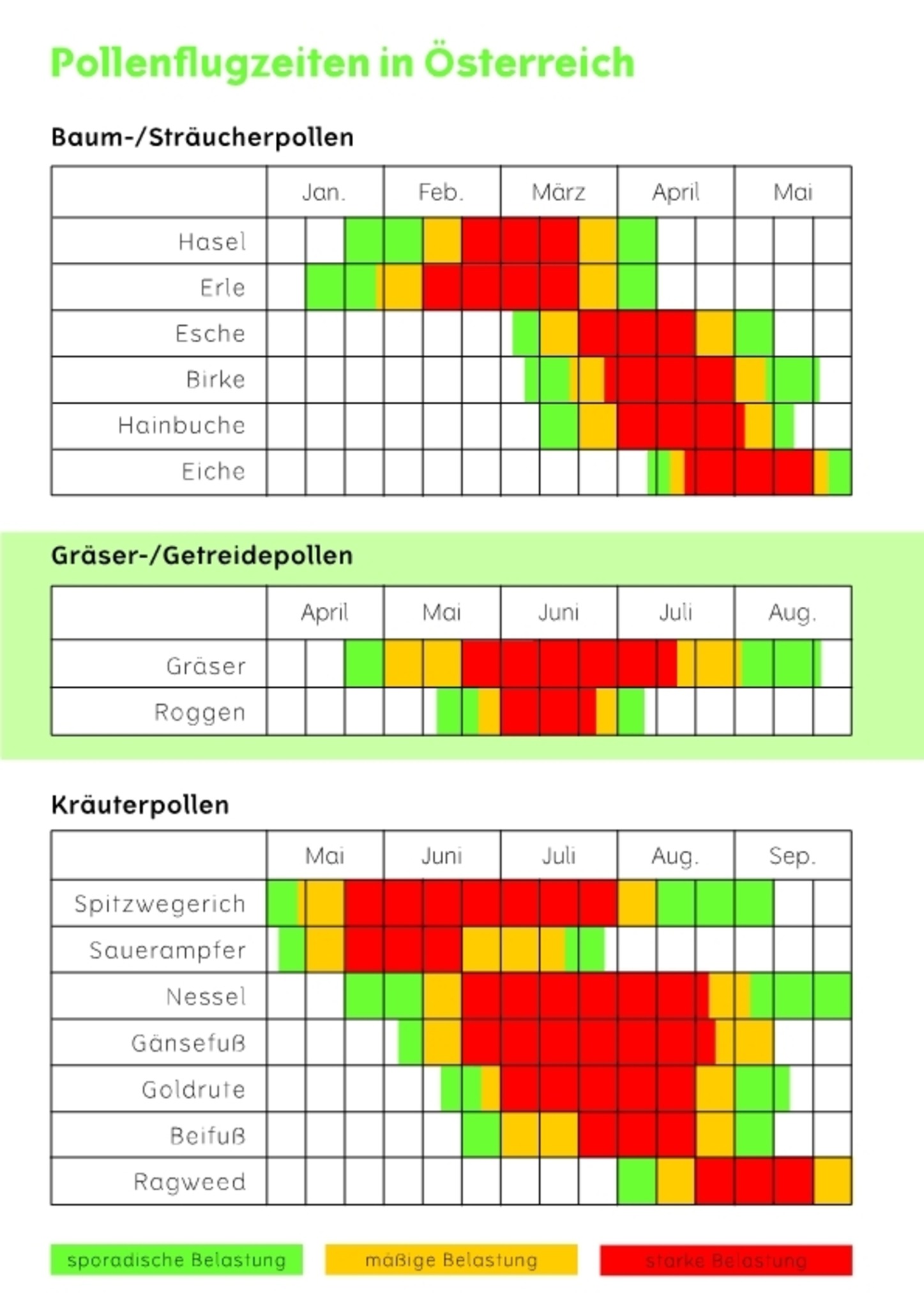 Zeitiger POLLENFLUG - Baden