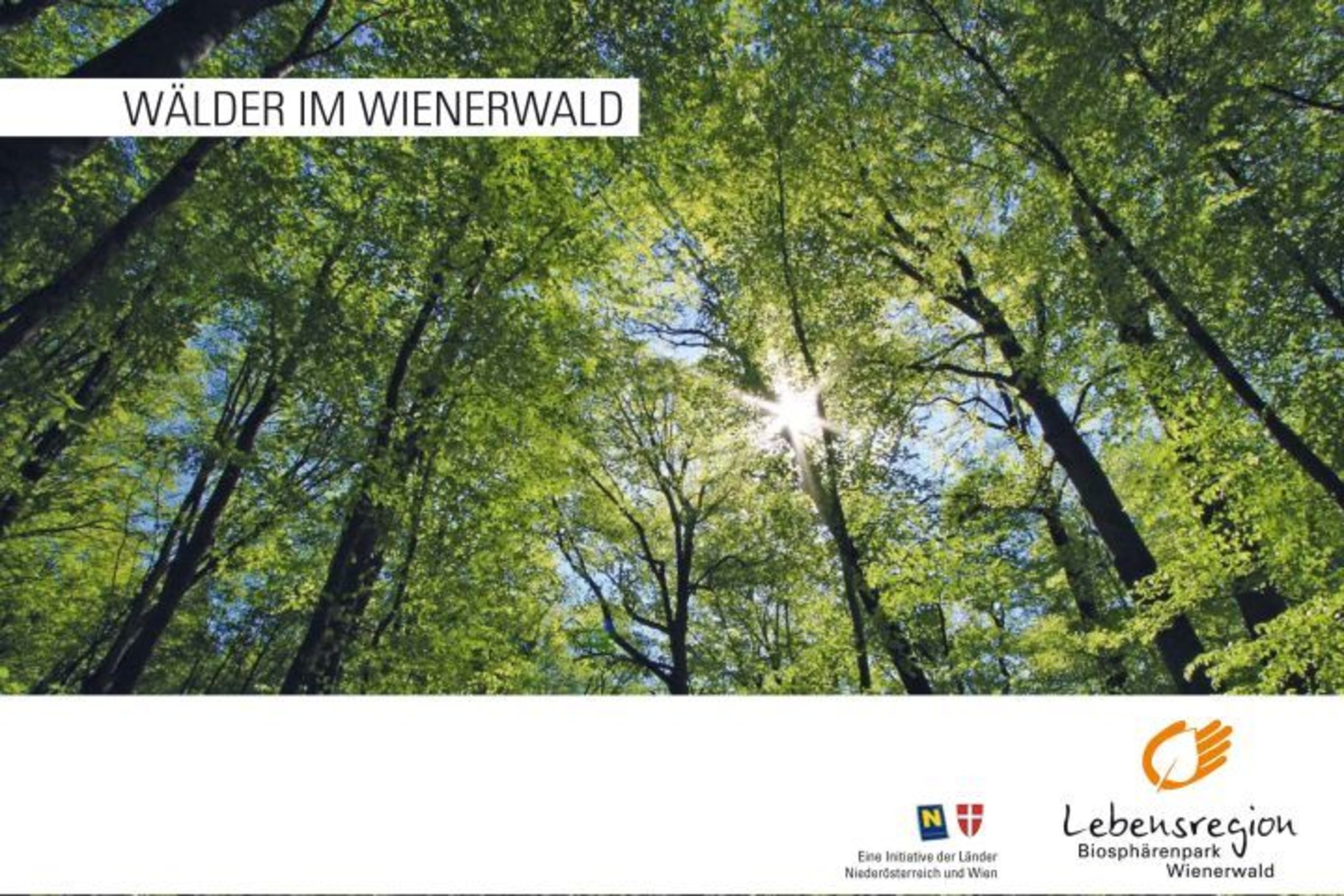 Neues Buch des Biosphärenparks: "Wälder im Wienerwald" - Purkersdorf