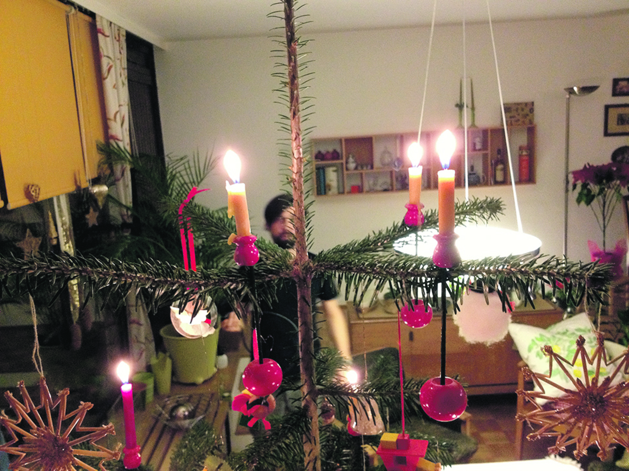 Christbaum brennt sekundenschnell ab - Urfahr-Umgebung