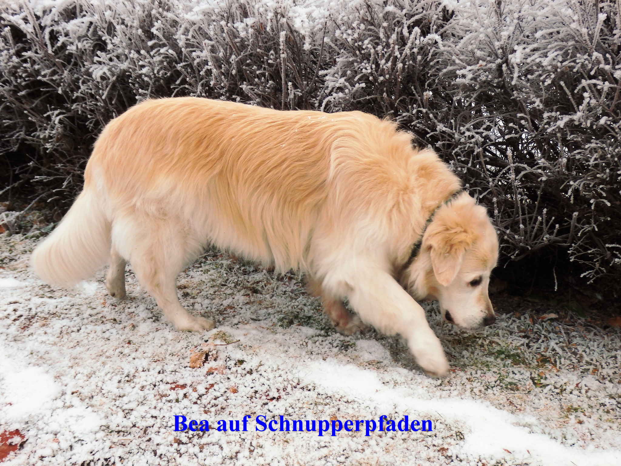 SCHNUPPERN MUSS SEIN - Villach Land