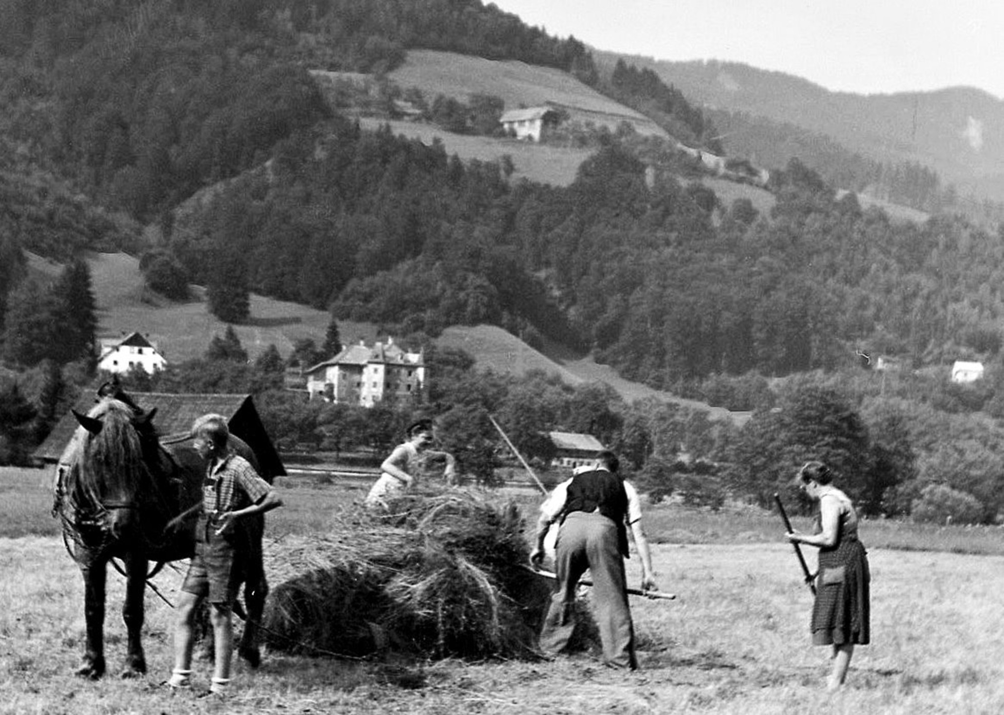 Liezen: Geschichte und Gegenwart - Liezen