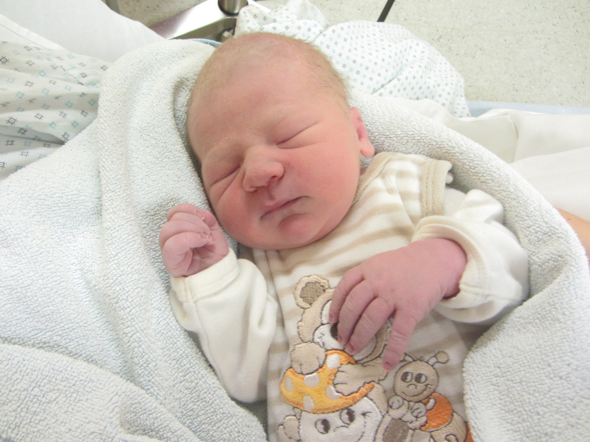 Baby der Woche 2 - David Lederer - Korneuburg