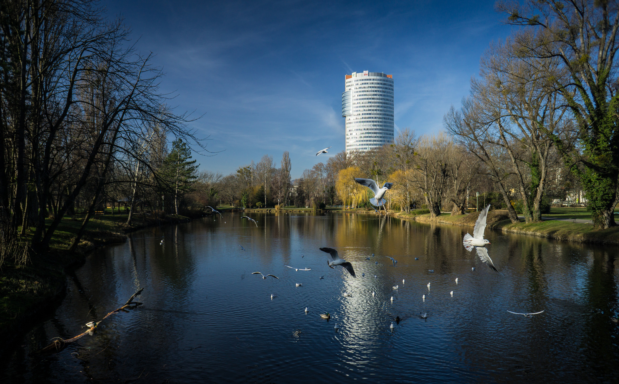 Floridotower - Floridsdorf