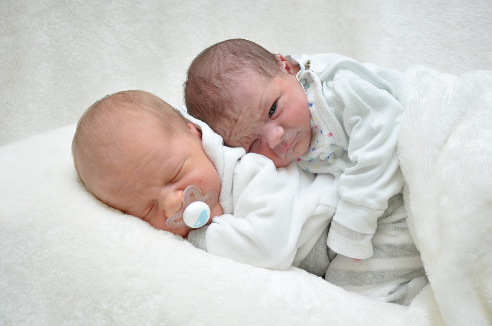 Entzückendes Baby-Duo beim Fotoshooting - Freistadt