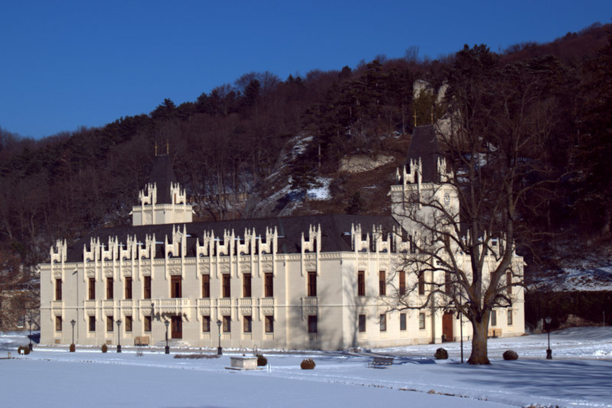 Schloss Hernstein im Winter - Triestingtal