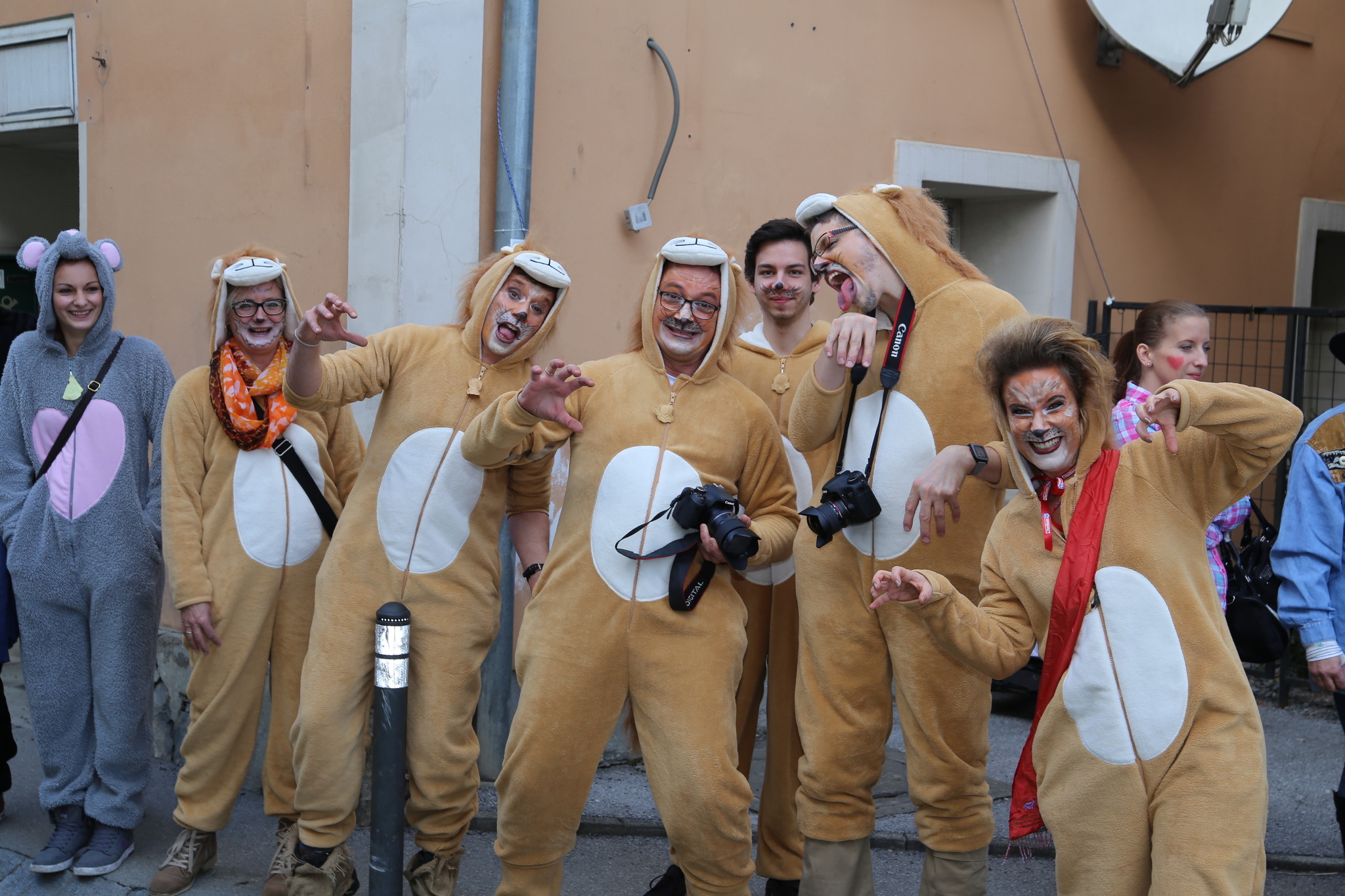 Weizer Faschingsumzug als Highlight der närrischen Zeit - Weiz