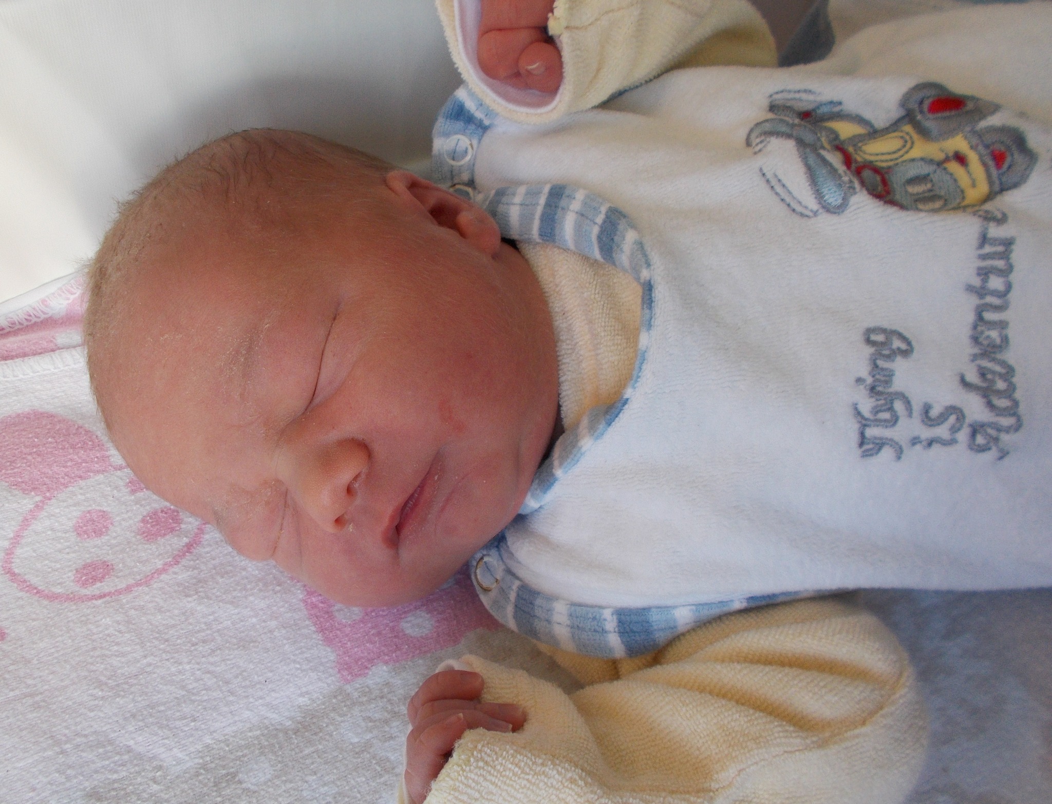 Baby der Woche 7 - David Heger - Korneuburg