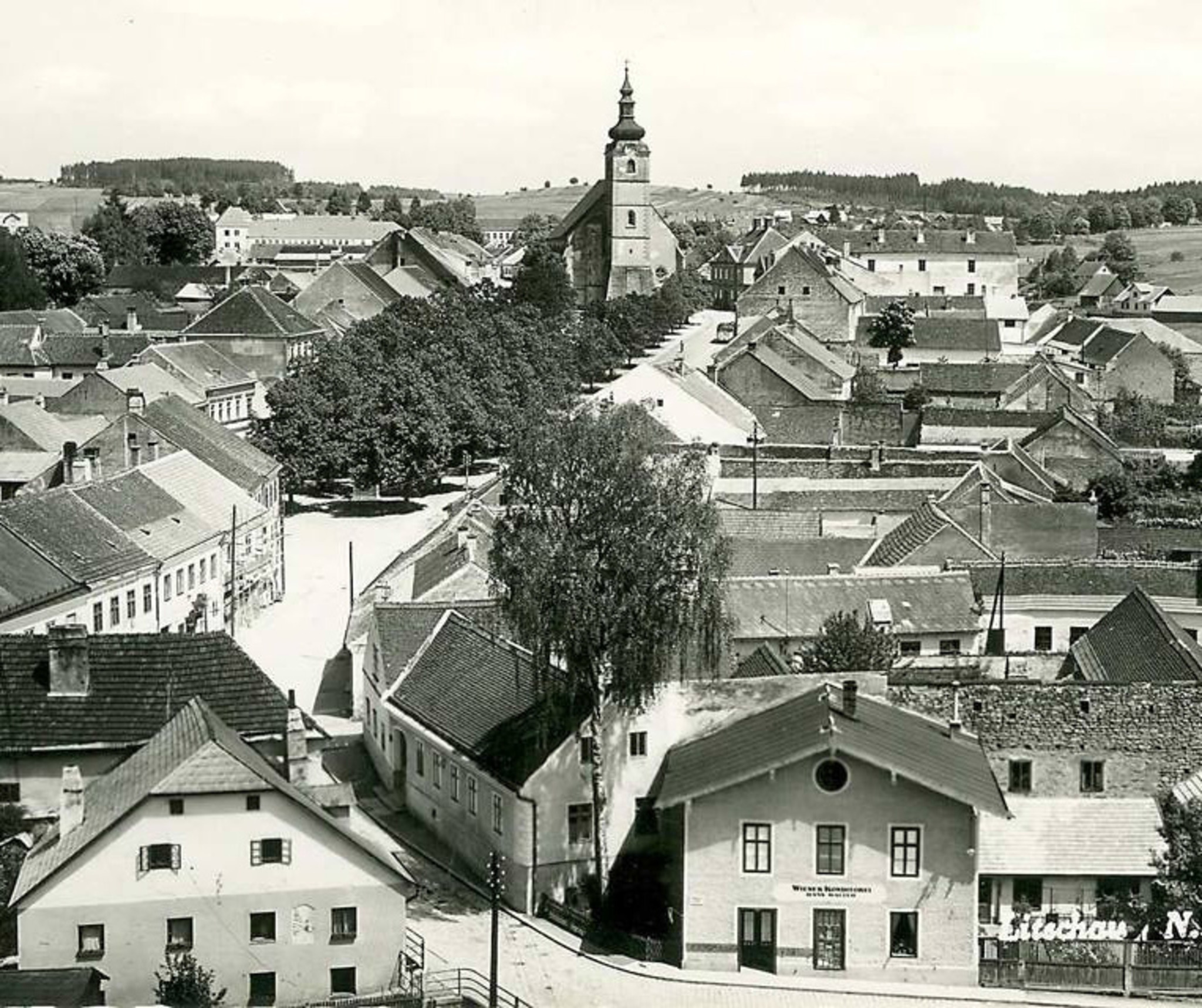 Stadt Litschau - Gmünd