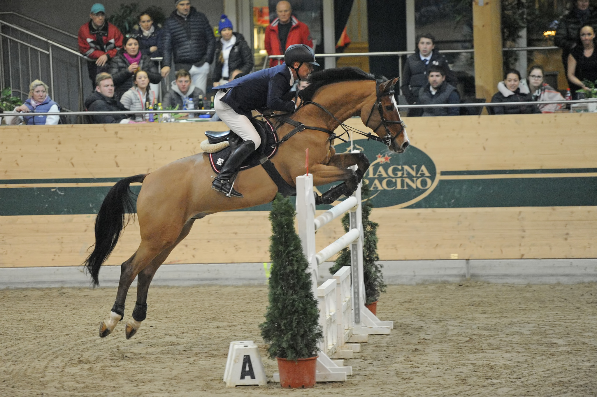 Spannender Pferdesport mit Wohlfühlfaktor im Magna Racino - Steinfeld