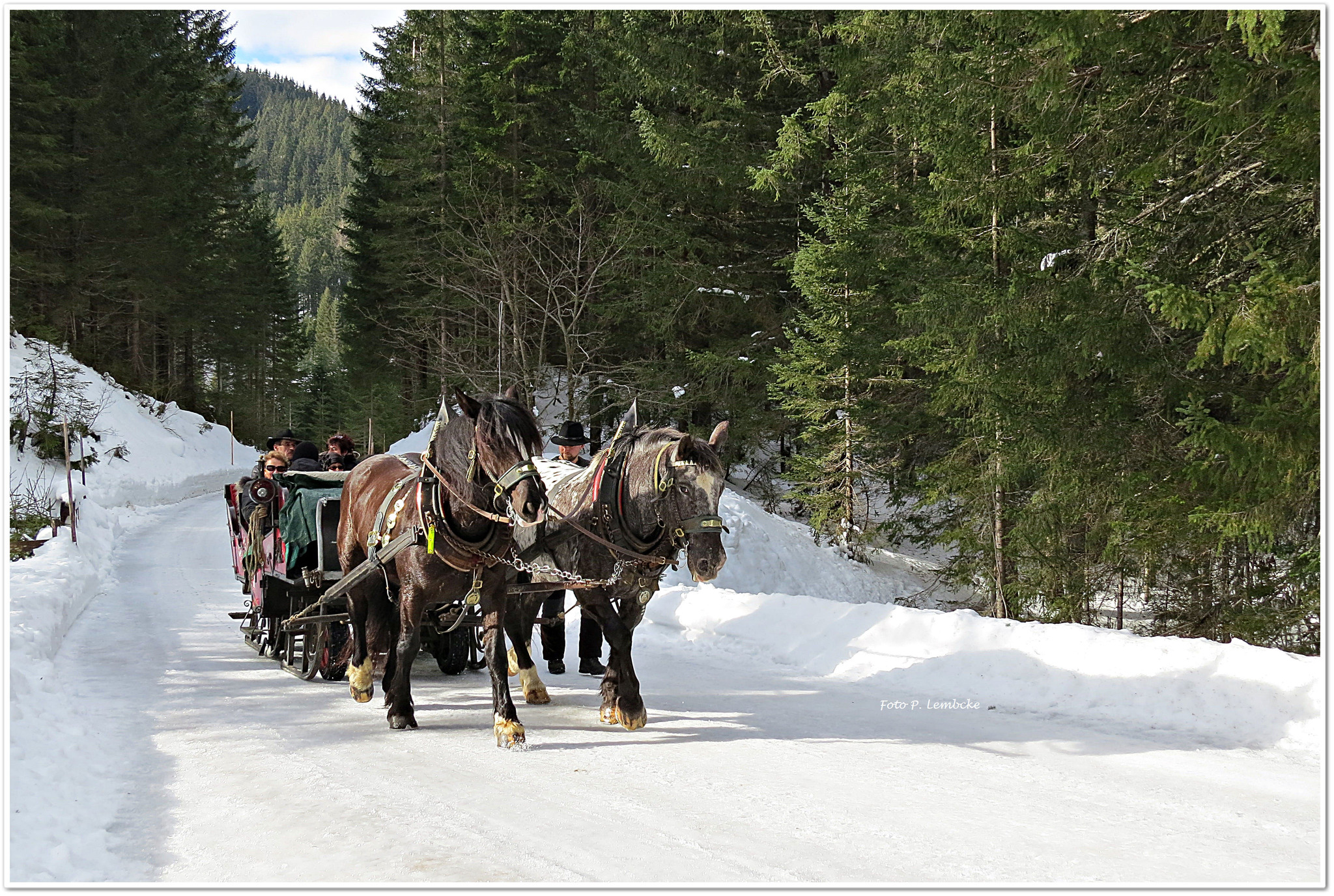 Winterurlaub in Filzmoos - 2. Ausflugsziele a) Hofalmen - Pongau
