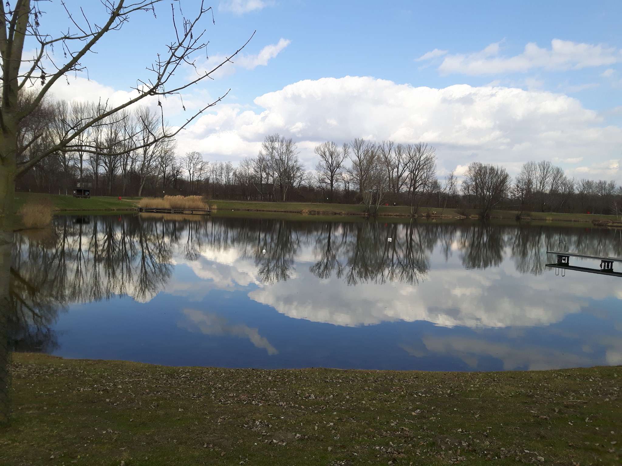 Aubad im Februar - Tulln