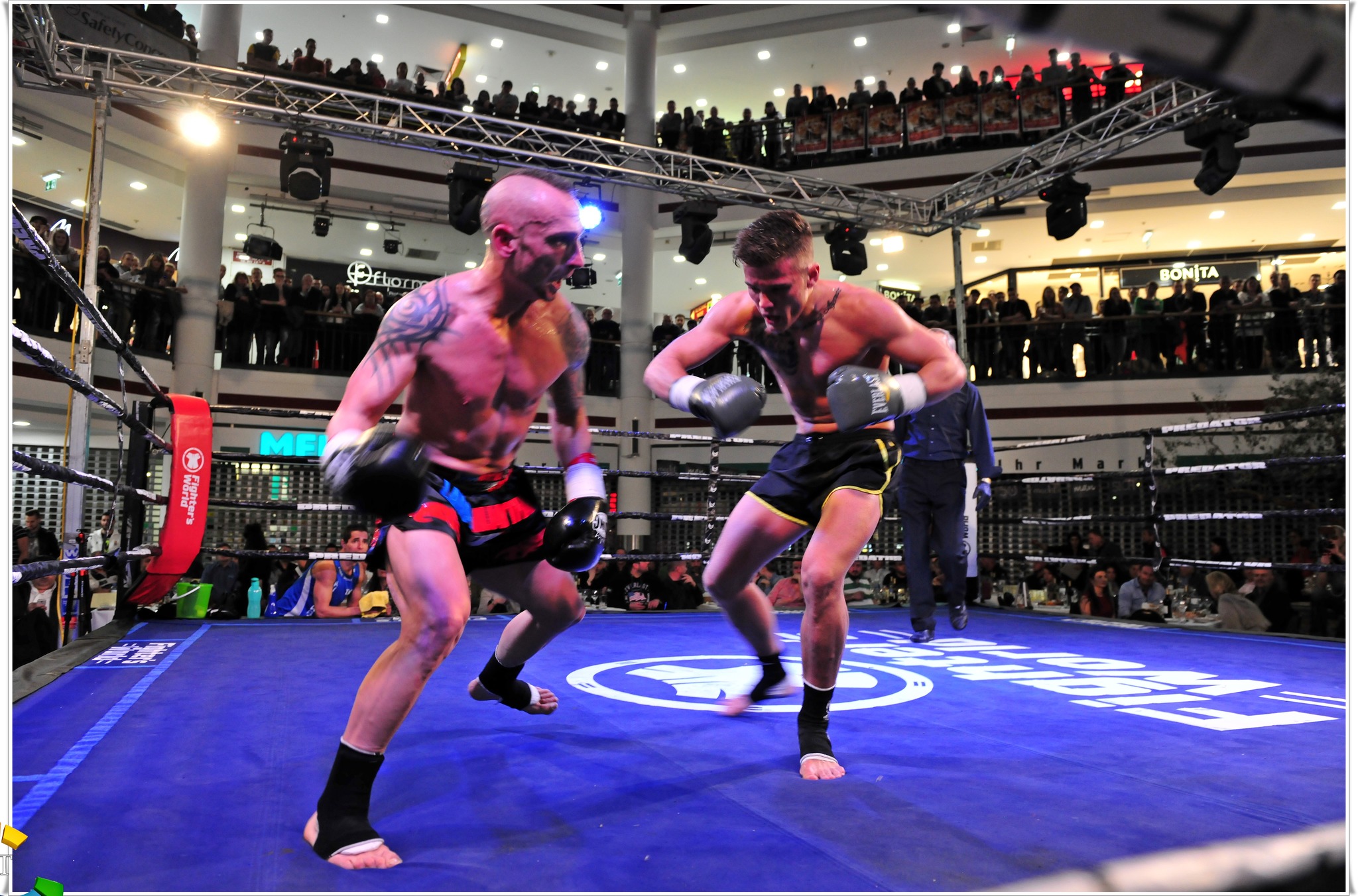 Profis im Ring: Fight Night war am 6. März in der Lugner City - Simmering