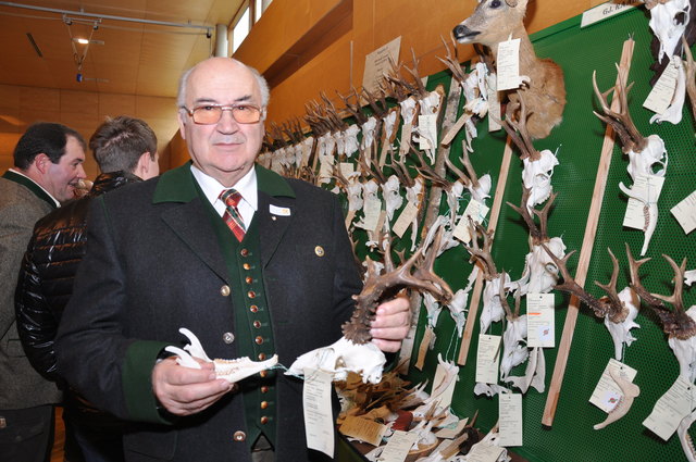 Dobl-Zwaring - Thema auf meinbezirk.at - Seite 17