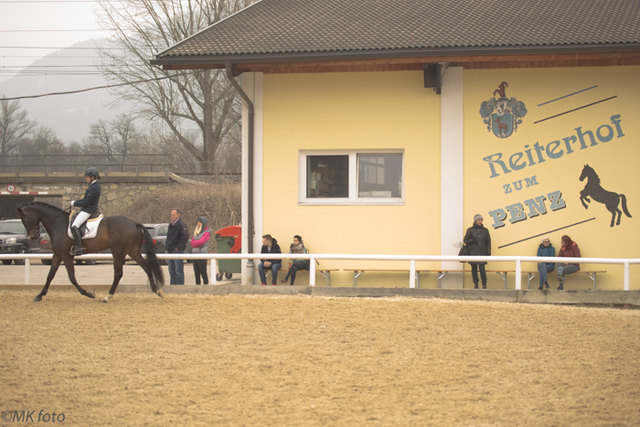 Dressur-Reiten Peer Unterperfuss - Westliches Mittelgebirge