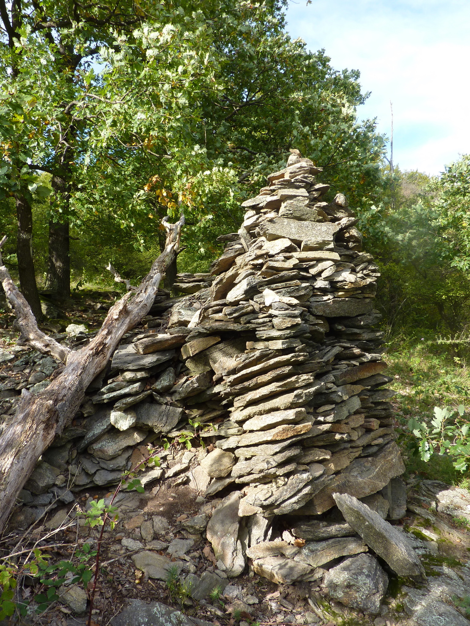 Am Welterbesteig zwischen Spitz und St. Michael - Krems