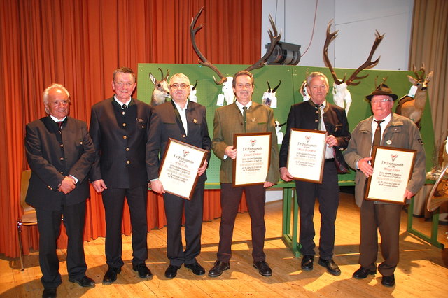 Räude rottete Steinwild am Rettenstein aus - Kitzbühel