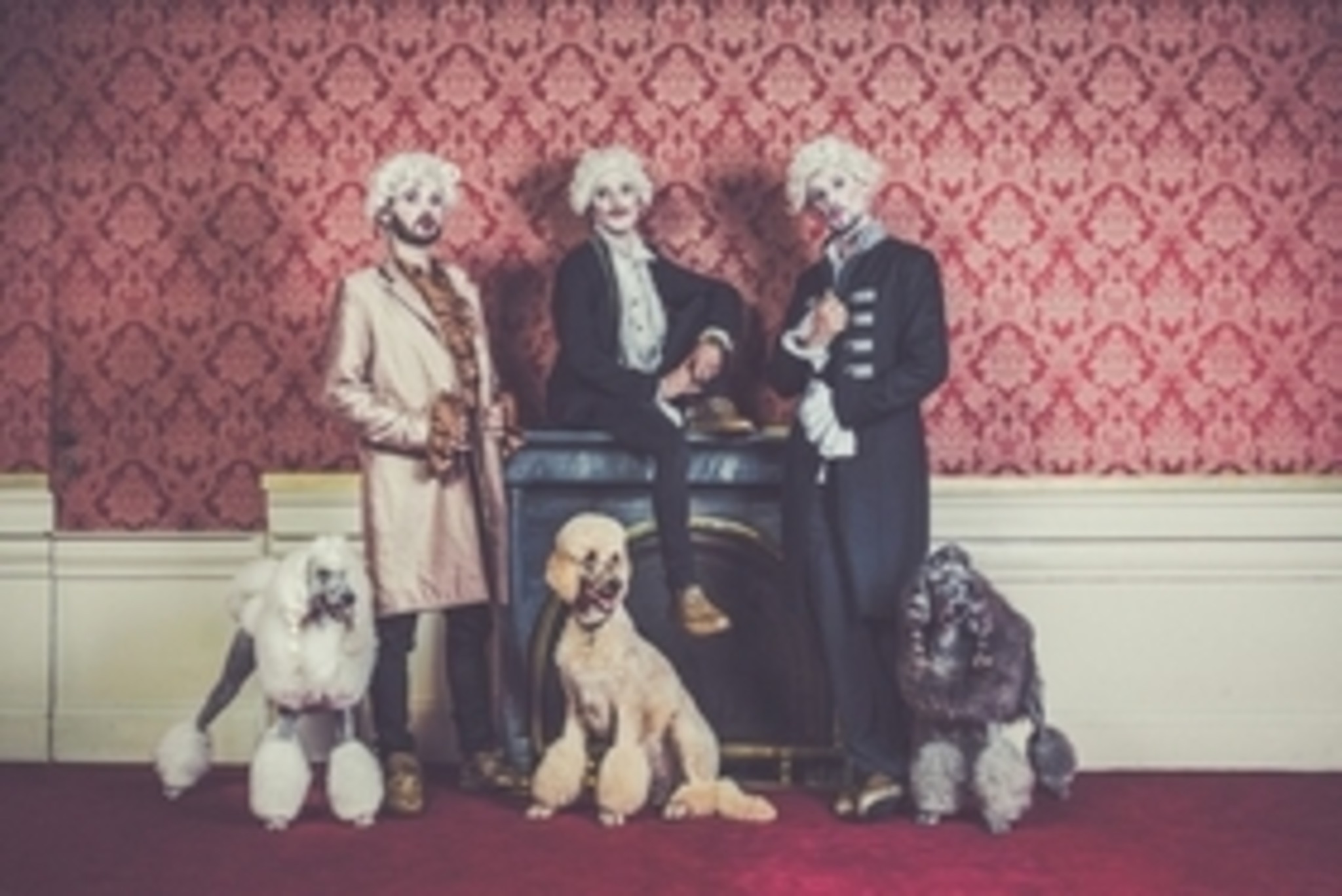 JOHANN SEBASTIAN BASS - Graz