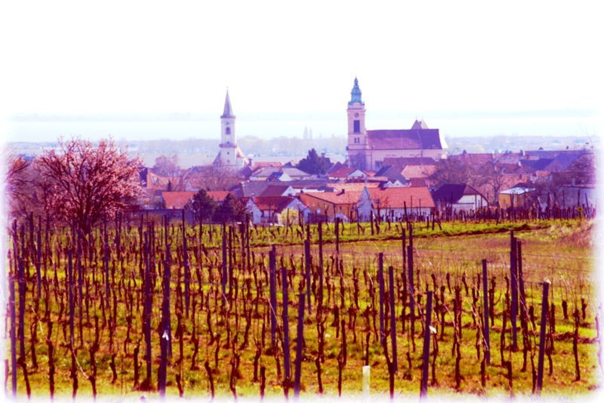 Freistadt Rust am See - Eisenstadt