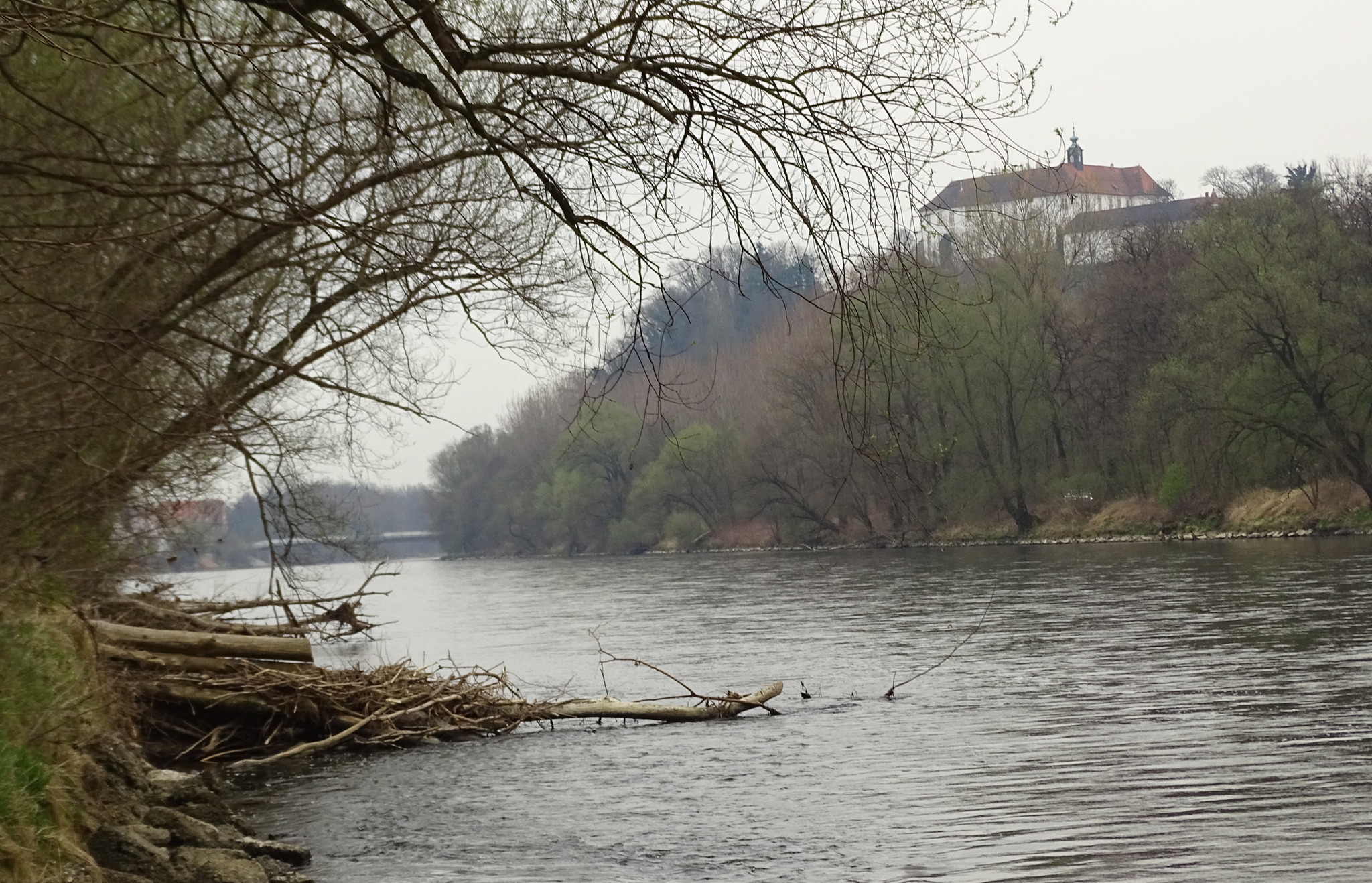 Die Mur wird zum sicheren Abenteuer - Südoststeiermark