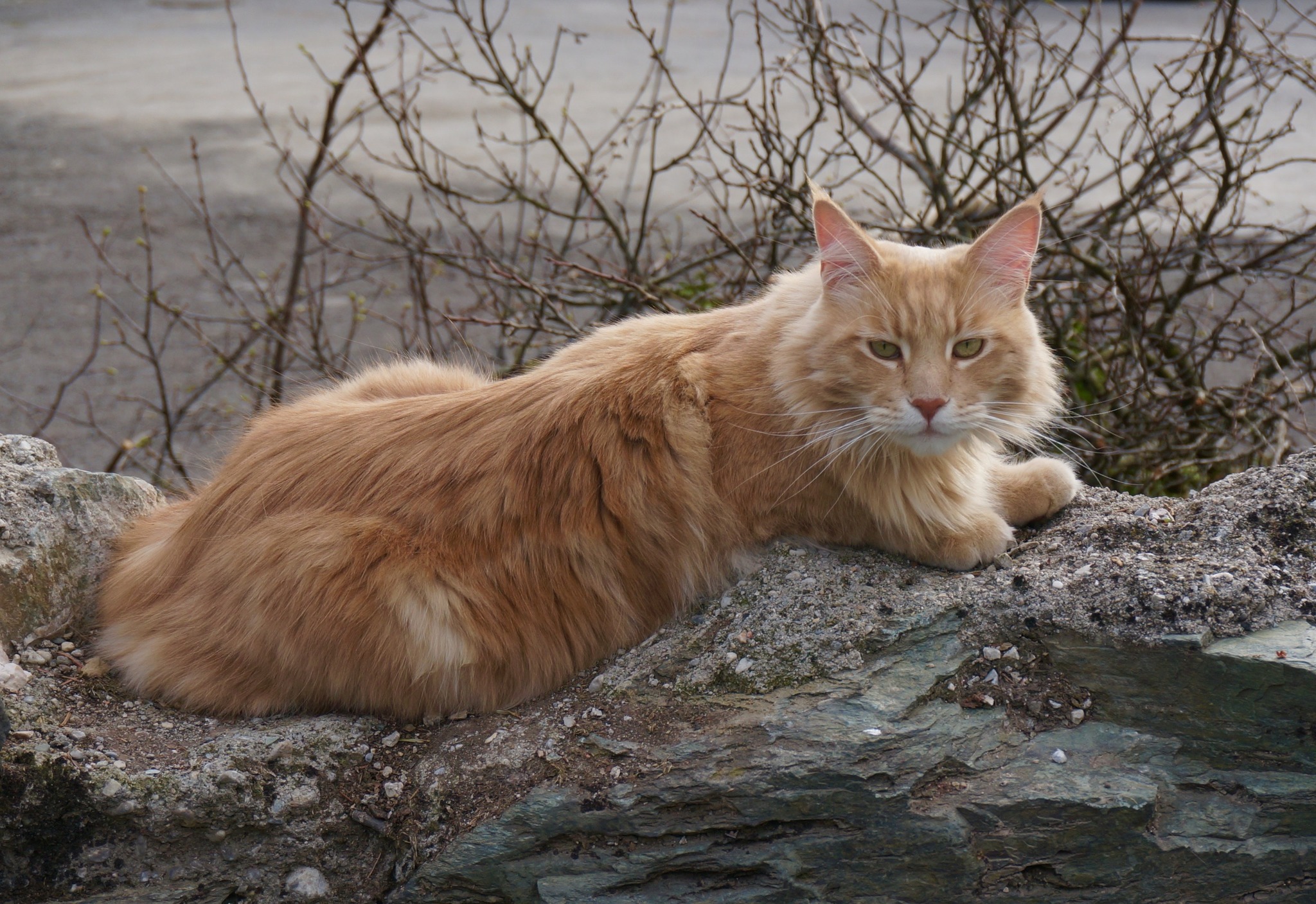 Wie man sich bettet so liegt man - Neunkirchen