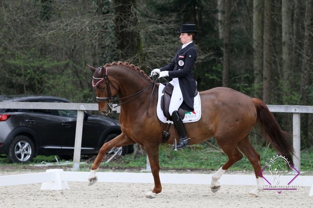 Ranshofen Masters: Erfolg für Haagerin - Grieskirchen & Eferding