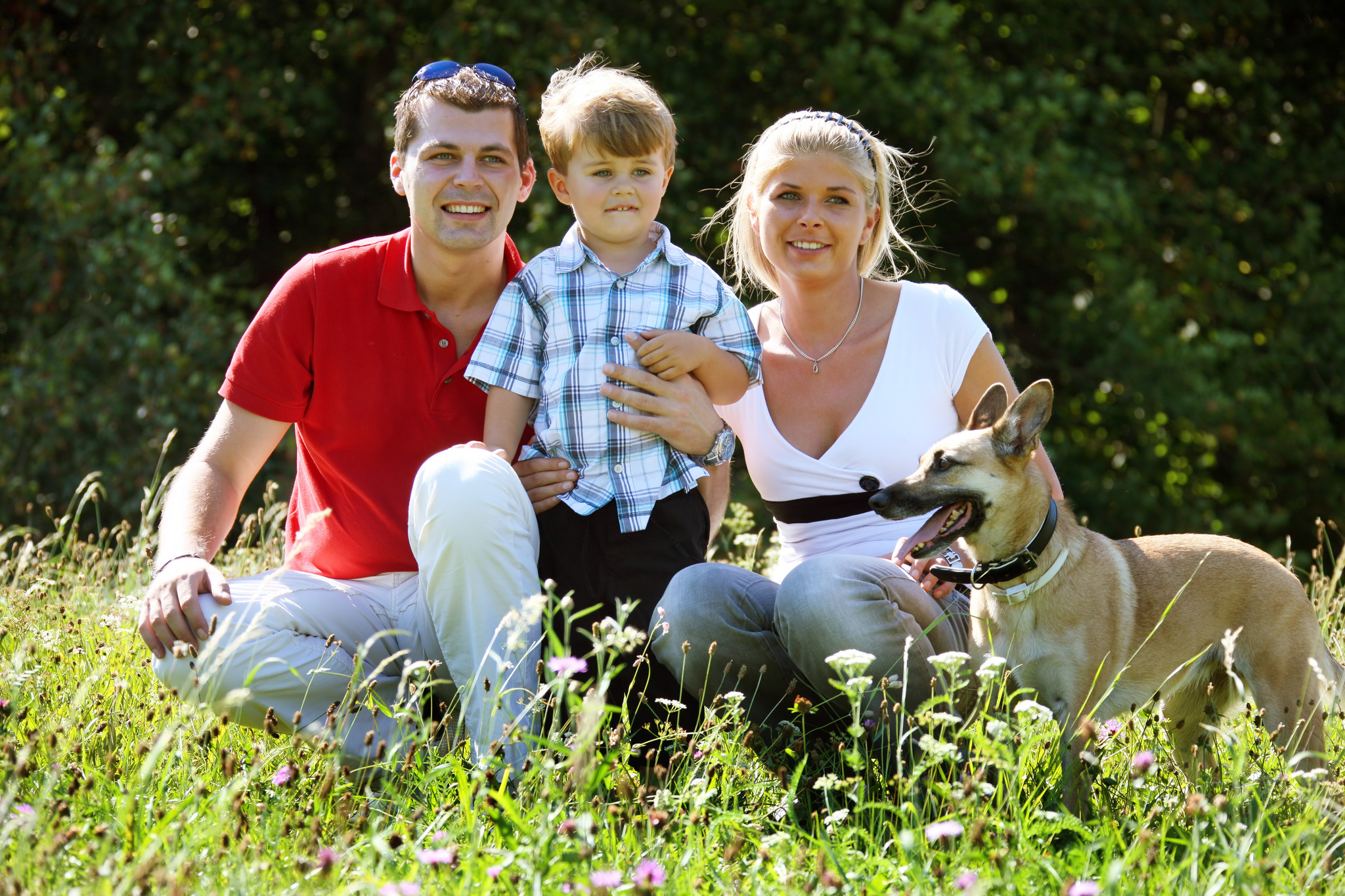 Spaß und Freude mit dem gemeinsamen Familienhund - Graz
