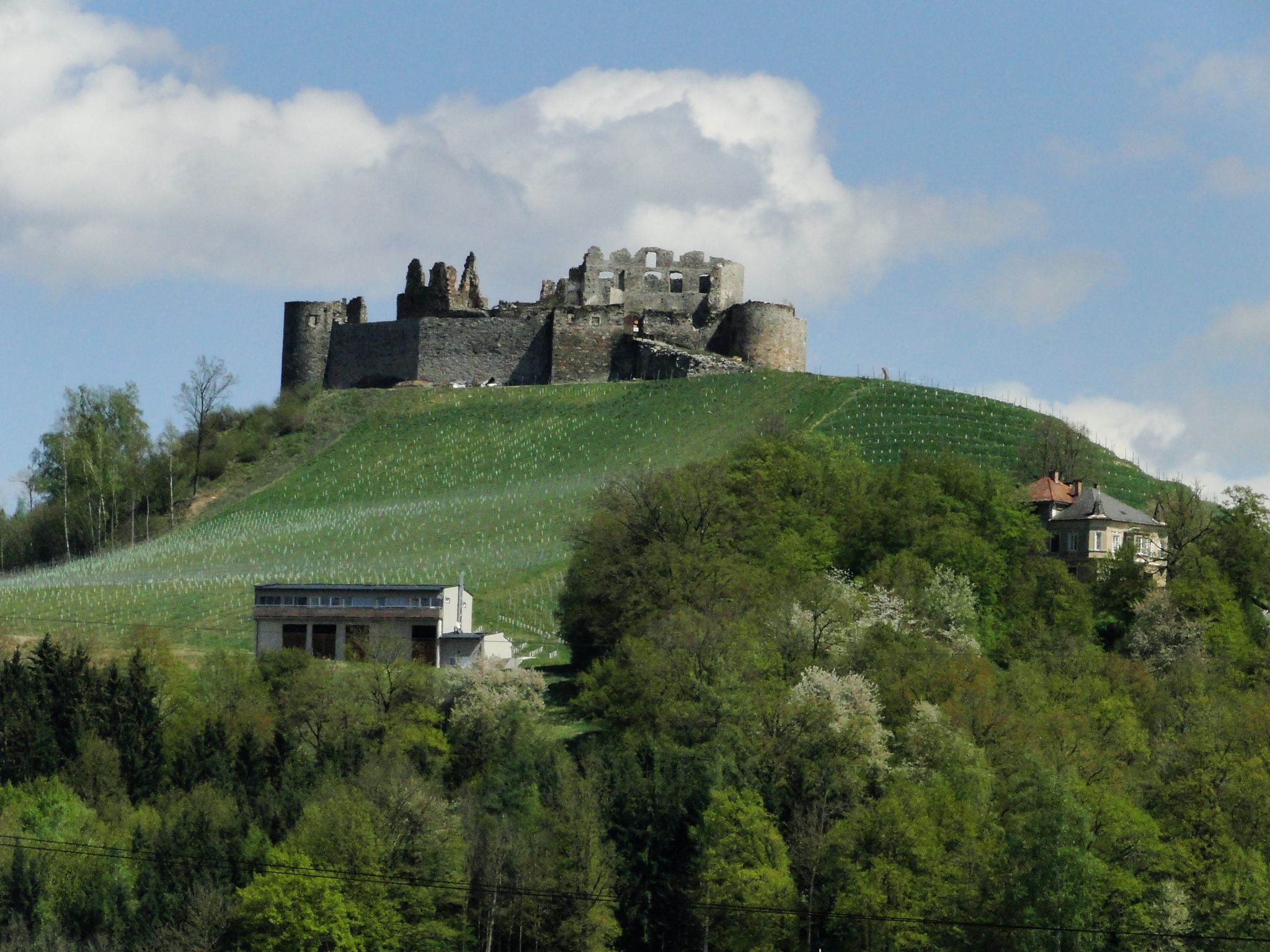 Weinbaugebiet Taggenbrunn - St. Veit