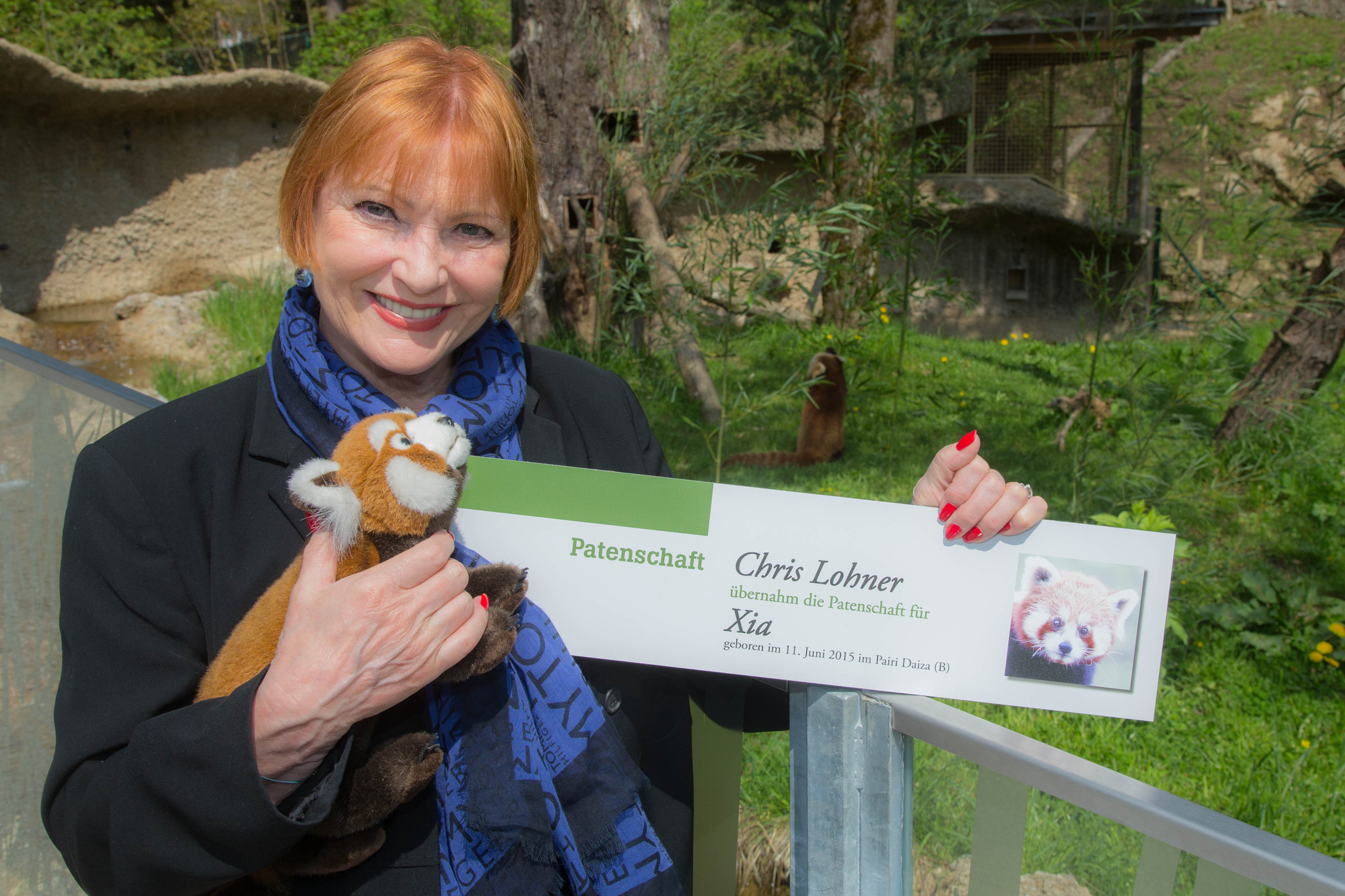 Chris Lohner ist Patin für Salzburgs Rotes Panda Weibchen - Salzburg-Stadt