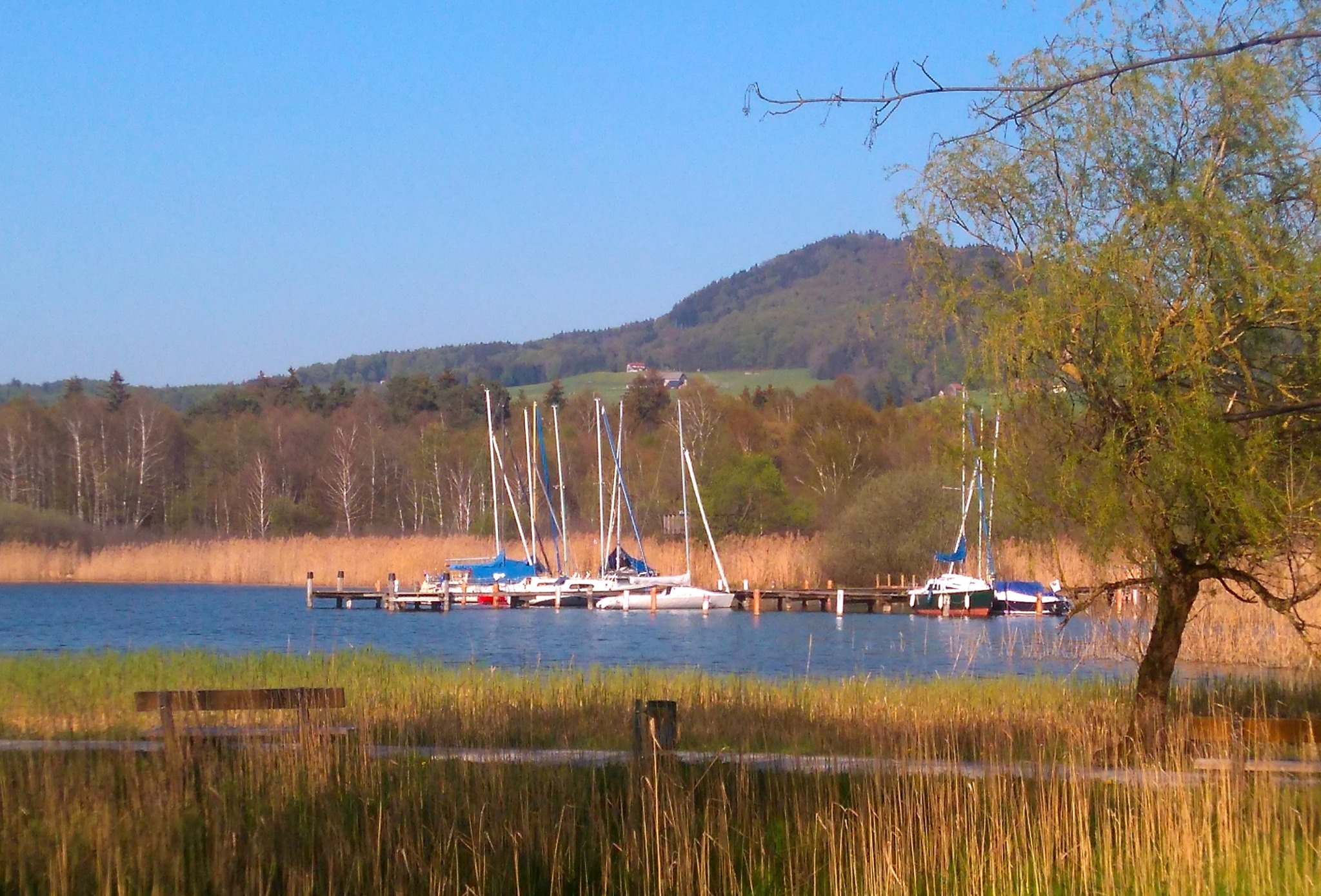 Naturidylle am Obertrumer See - Salzburg-Stadt