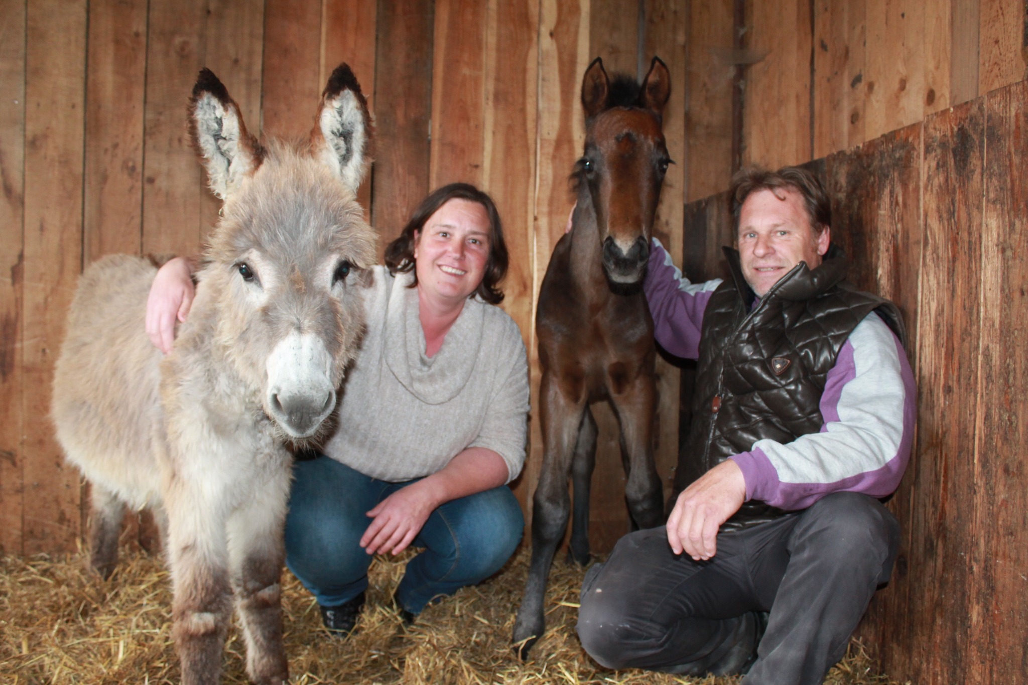 Neue Reithalle am Pferdehof Roscher - Völkermarkt