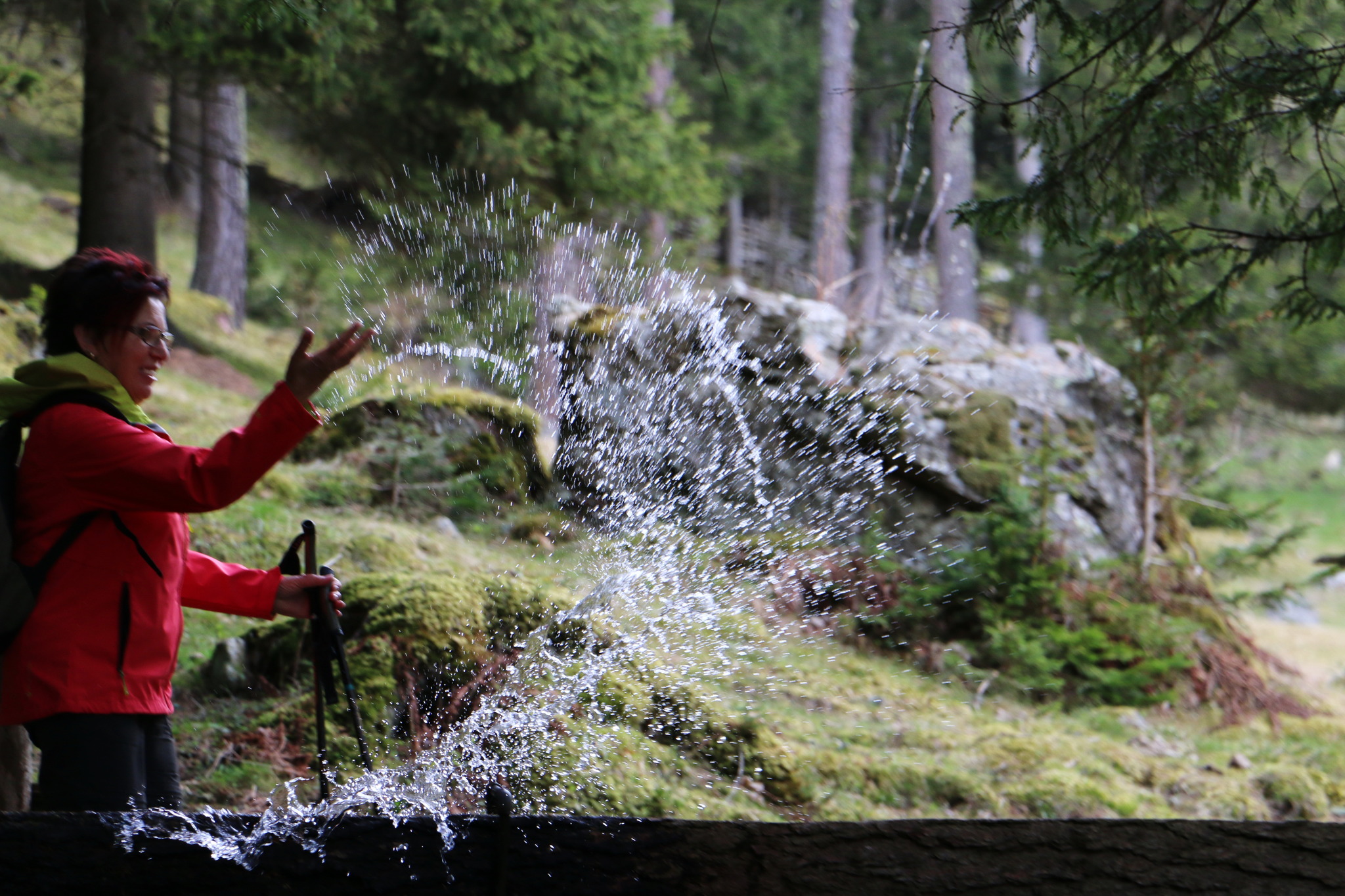 reinstes Quellwasser in den Nockbergen - Spittal