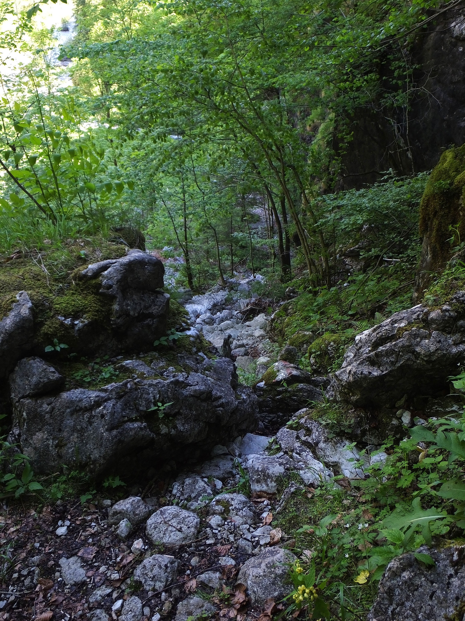 Einsamer Weg in die Schlum - Hagengebirge - Tennengau