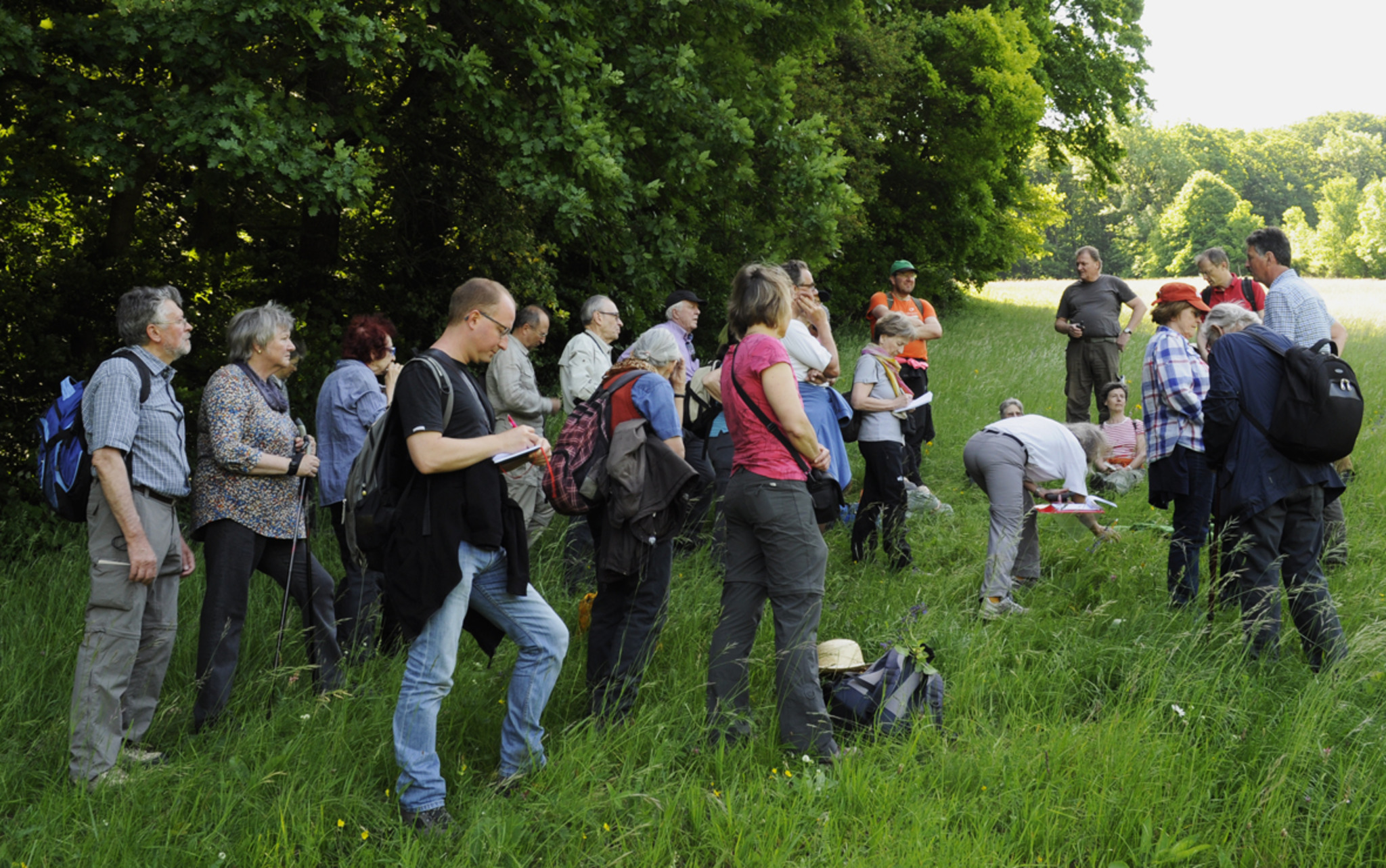 Kritzendorf: Naturkunde "live" erleben - Klosterneuburg