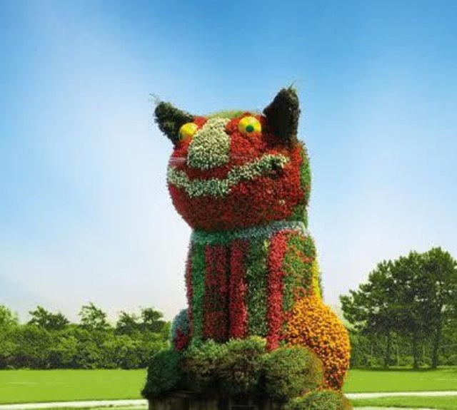 PrasKatzFest im Pflanzenland Praskac 5.Juni 2016 - Tulln