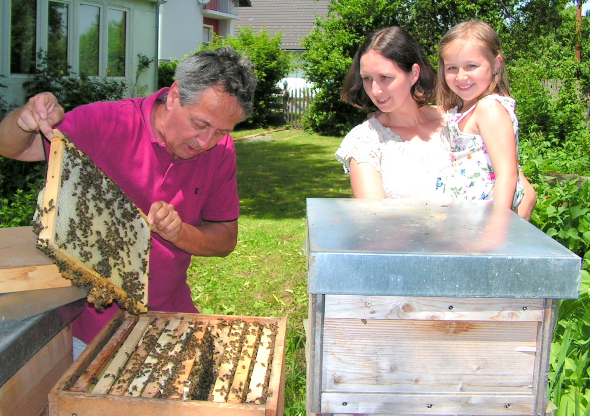 Bienenzucht erlebt eine Renaissance - Güssing