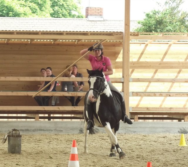 Working Equitation Kurs im Reitstall "Hobby Pferd" - Tulln