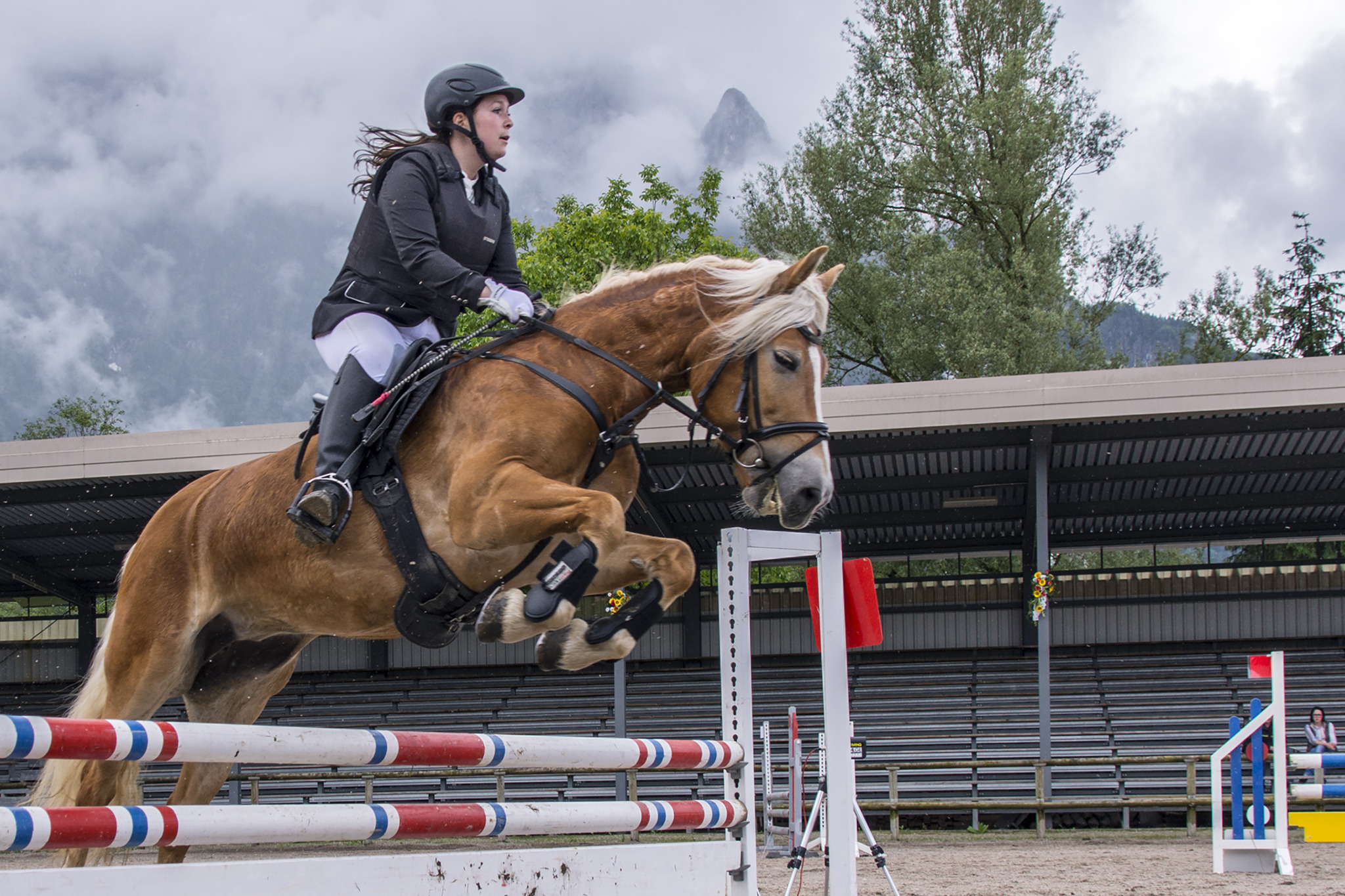 1. Hafliner Bundesmeisterschaft in Ebbs (1) - Kufstein
