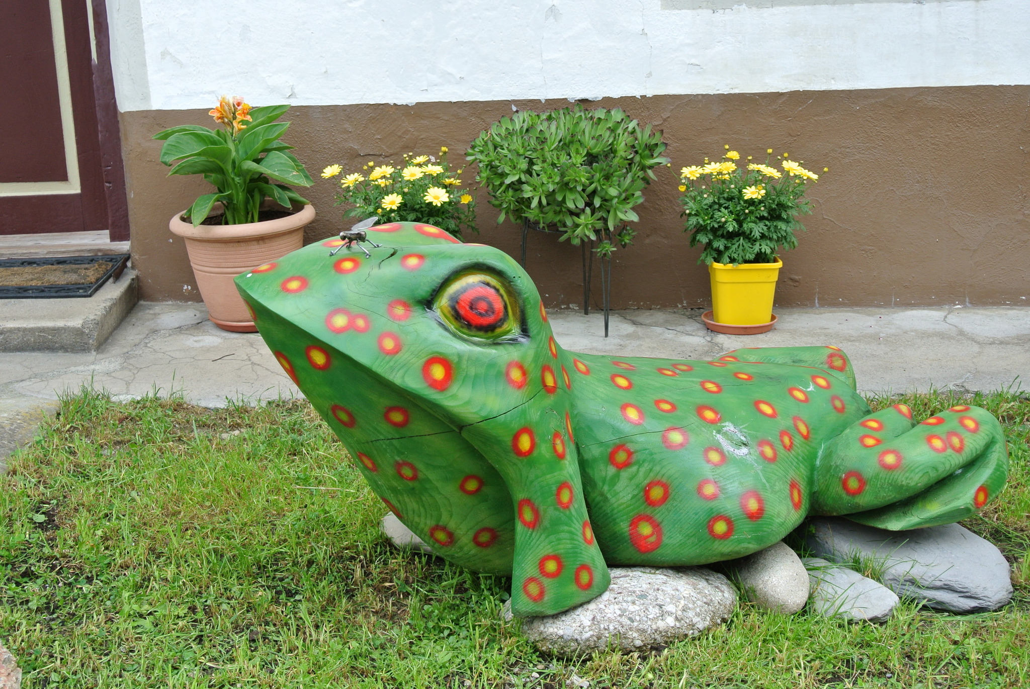 Frosch getupft - Imst