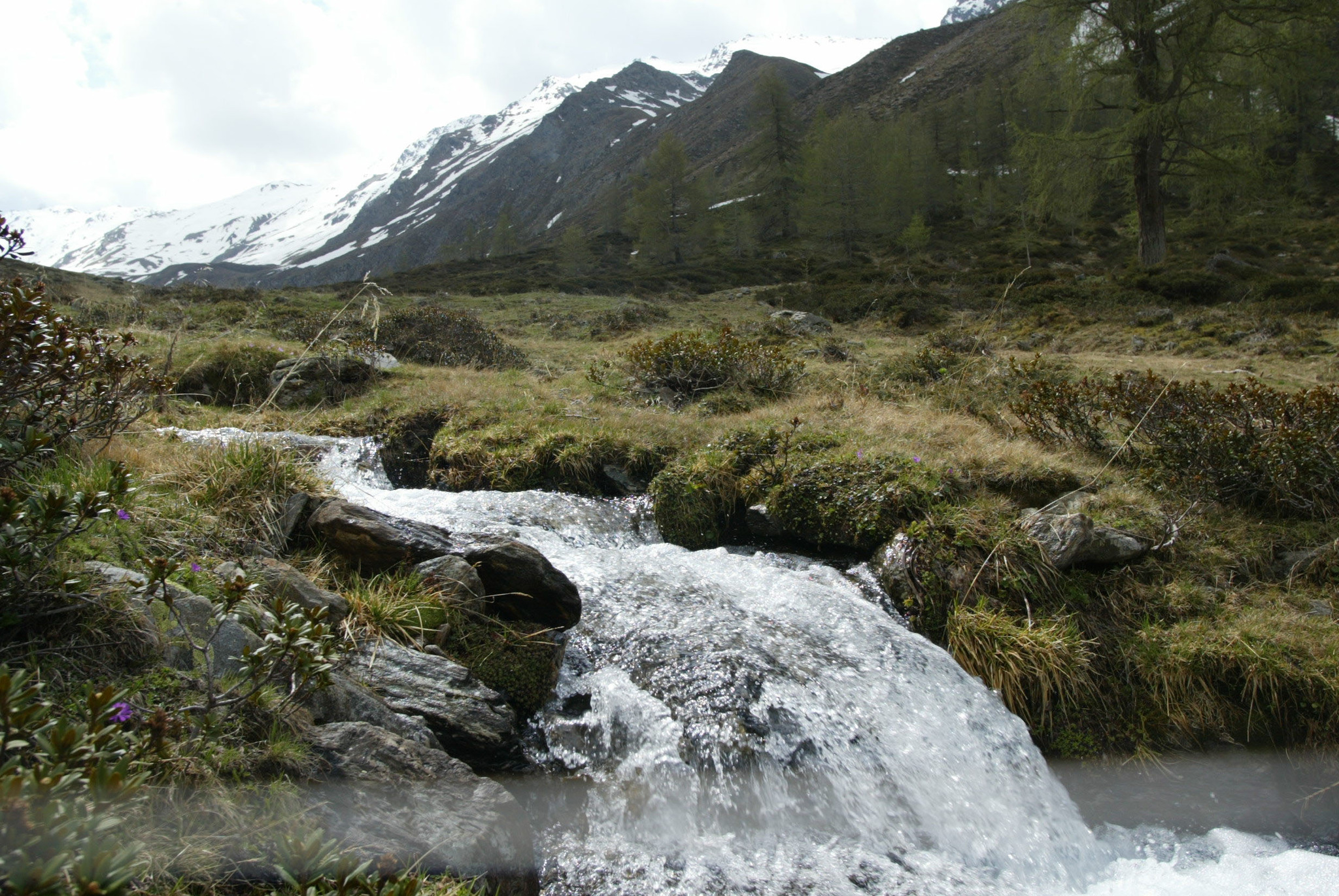 Gasteiner Mineralwasser: gesunde Ernährung mit Wasser - Lungau