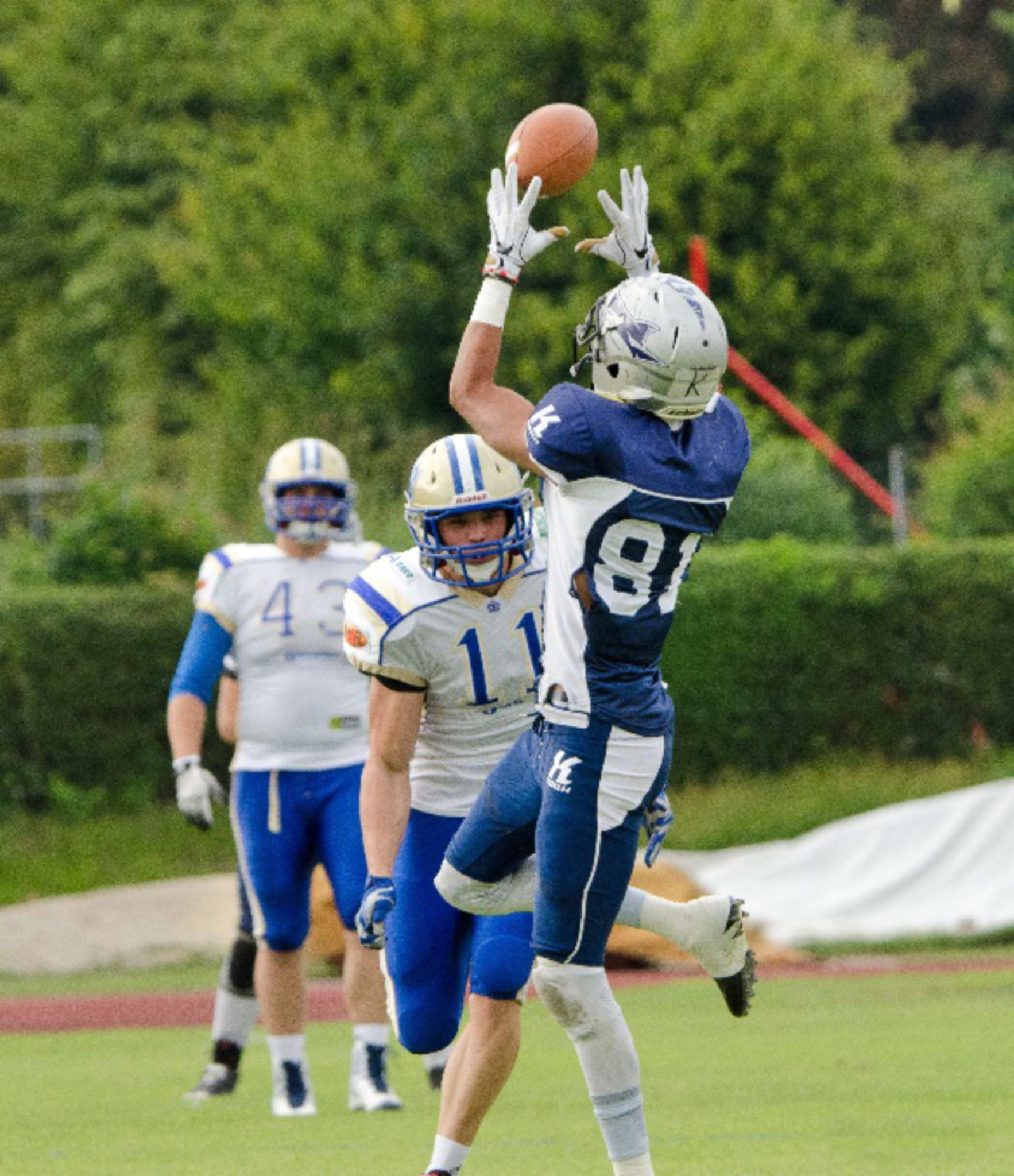 Trauner Steelsharks ziehen ins Finale ein - Linz-Land