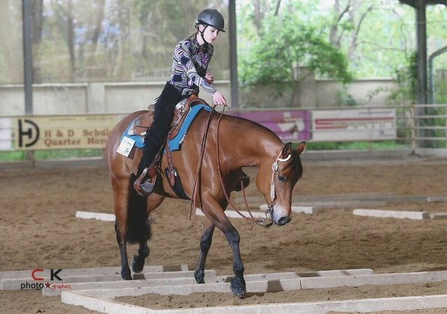 Meisterliche Erfolge: 2x Gold für Vanessa Winkler aus Preinreichs - Krems
