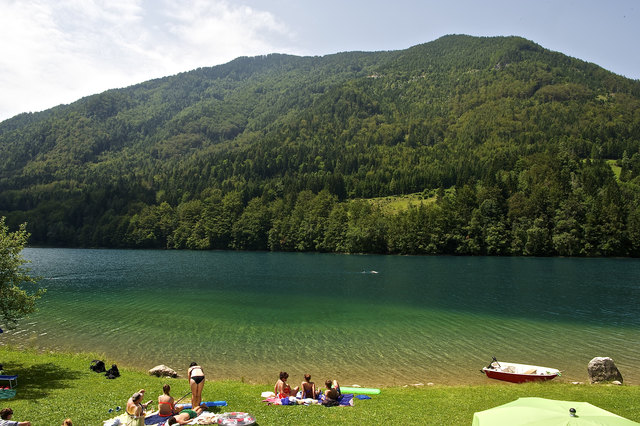 Hai Sparky "schwimmt" wieder im Freibacher Stausee - Klagenfurt Land