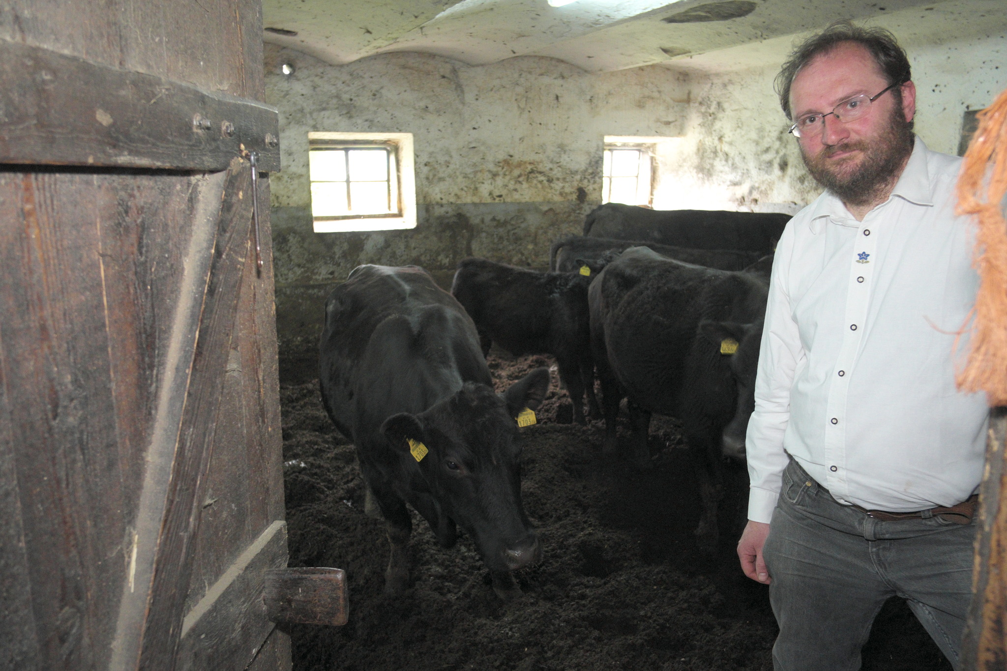 Bio-Fest BaBiol am 15. August - Neunkirchen