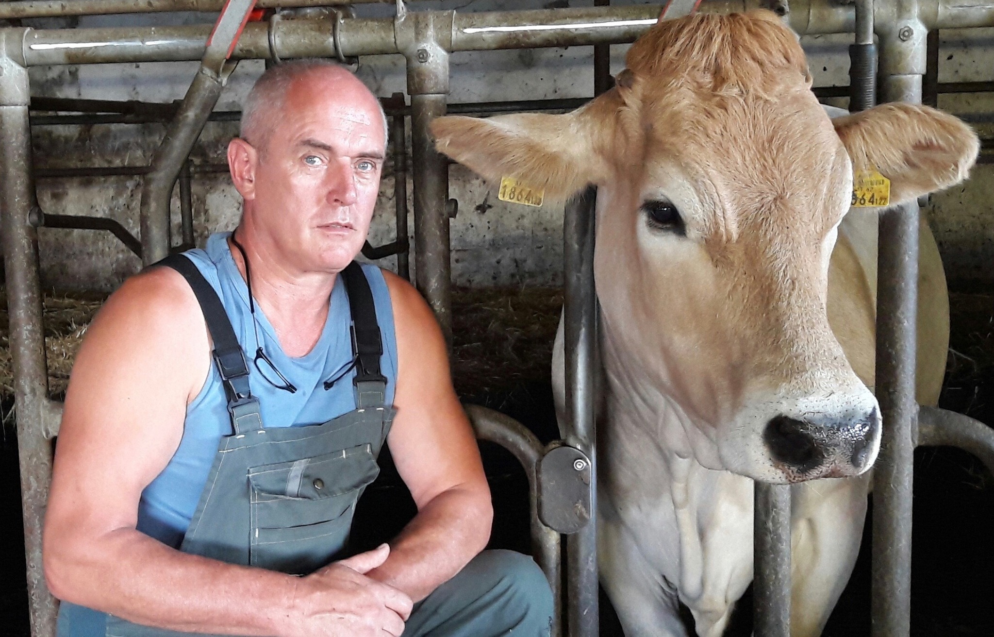 Viehhandel mit Herz und Hirn - Hartberg-Fürstenfeld