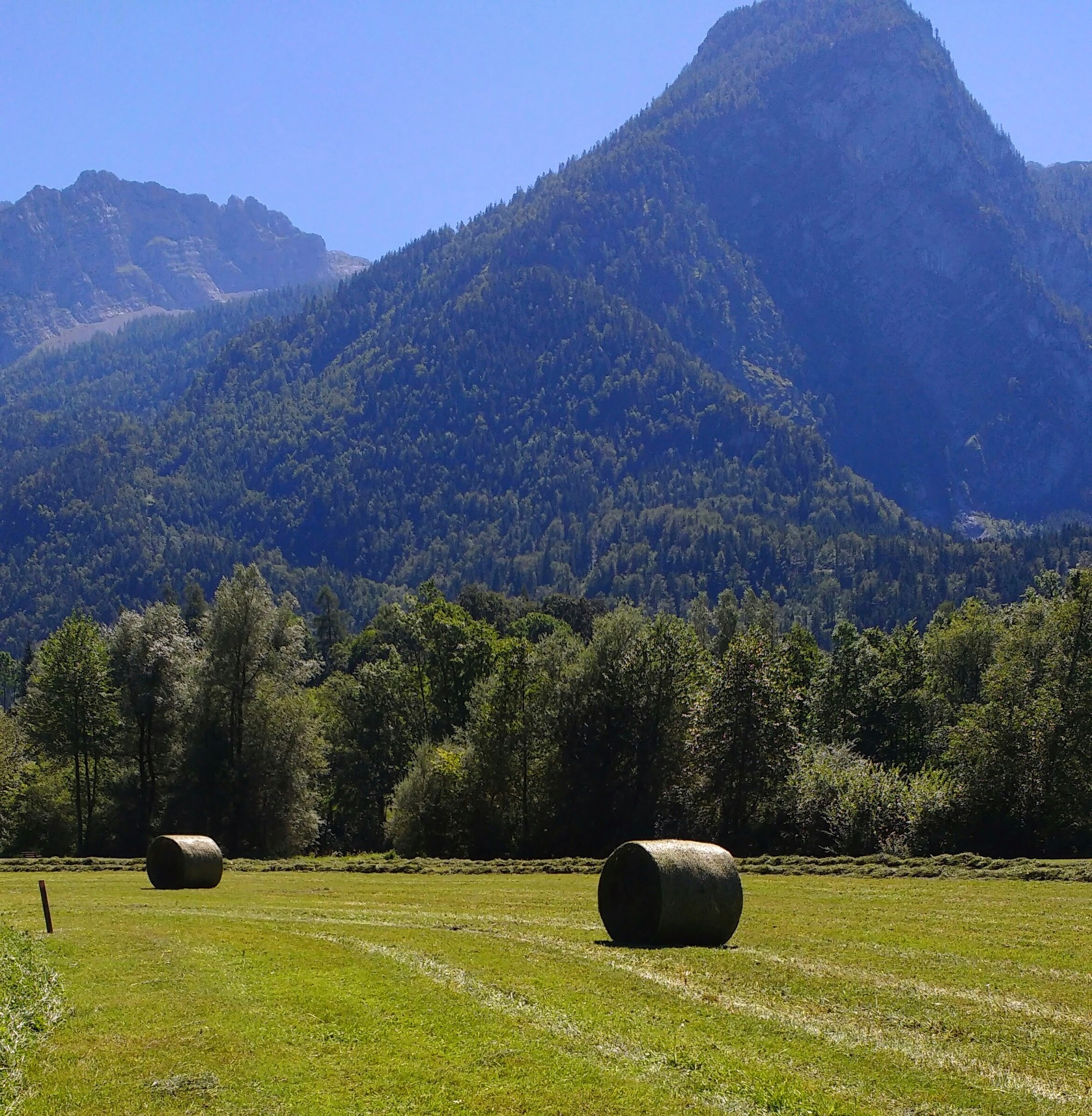 "" Heu-Ernte "" - Tennengau