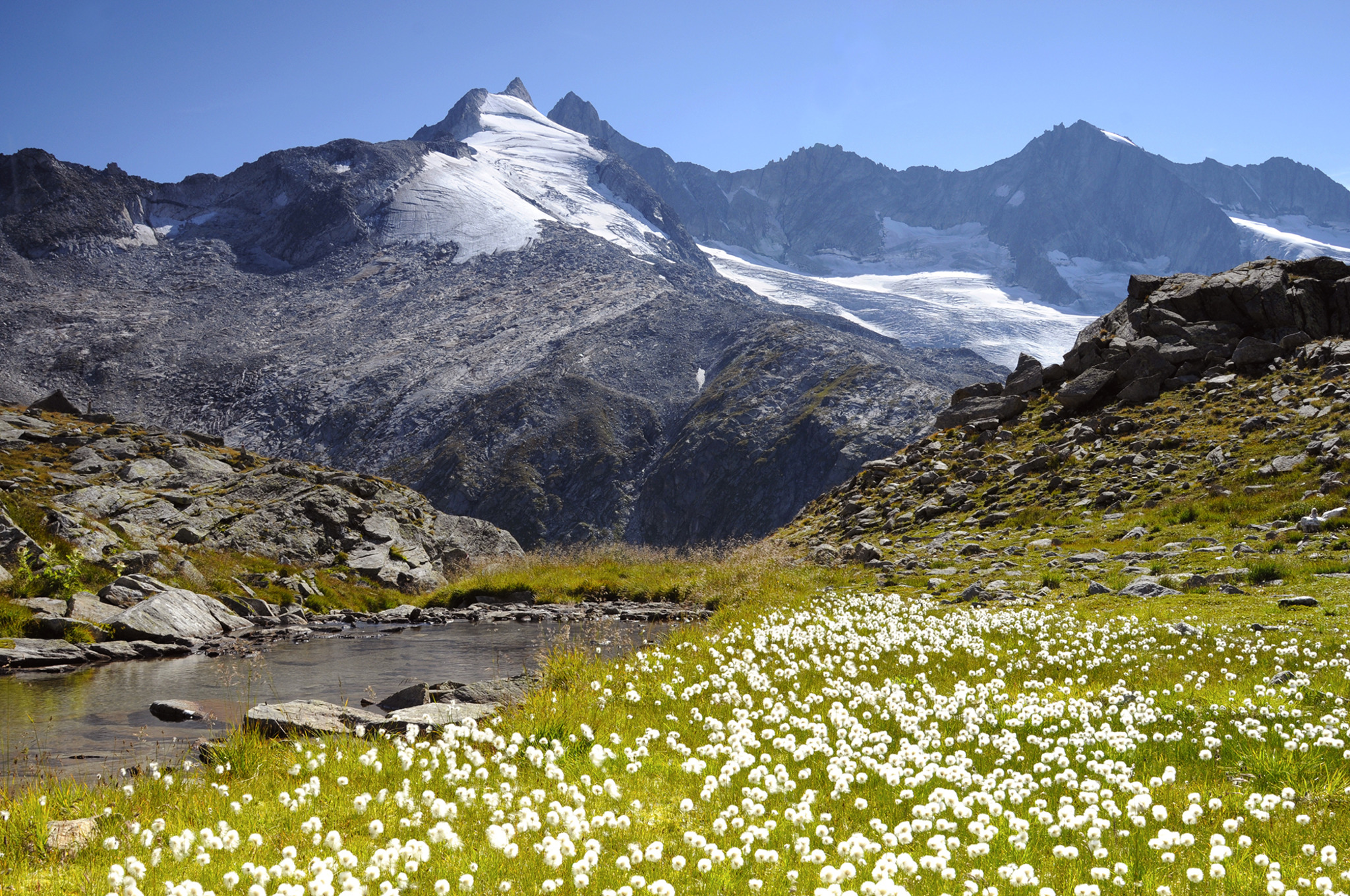 typisch Pinzgau - Pinzgau