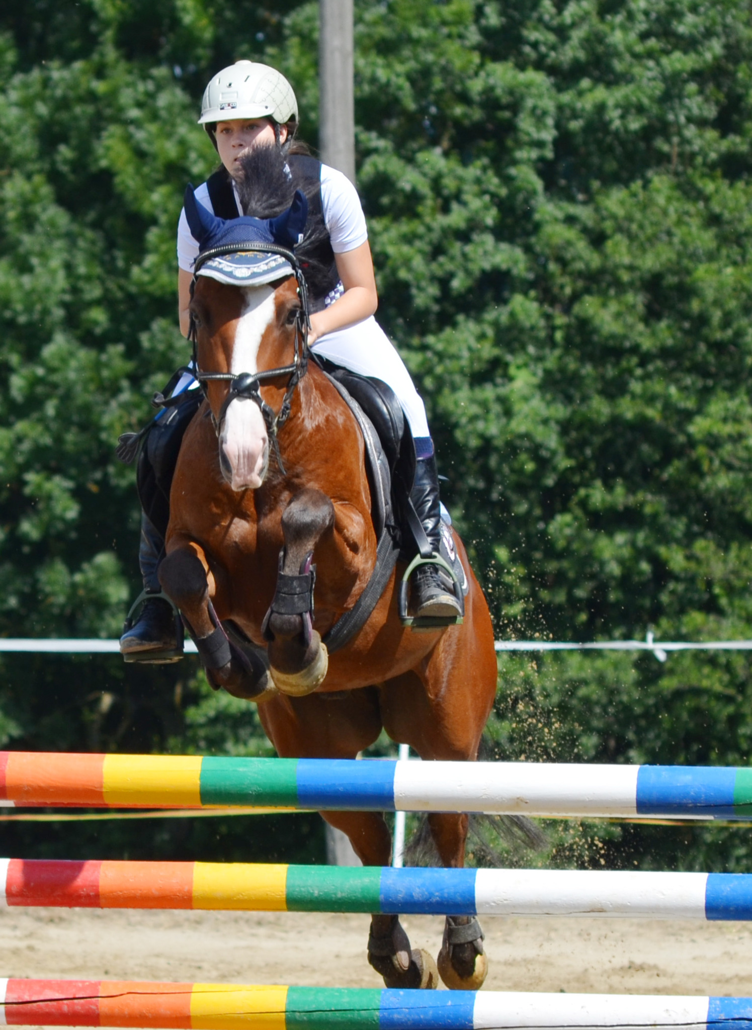 Reitsport: Springturnier in Wendling - Grieskirchen & Eferding