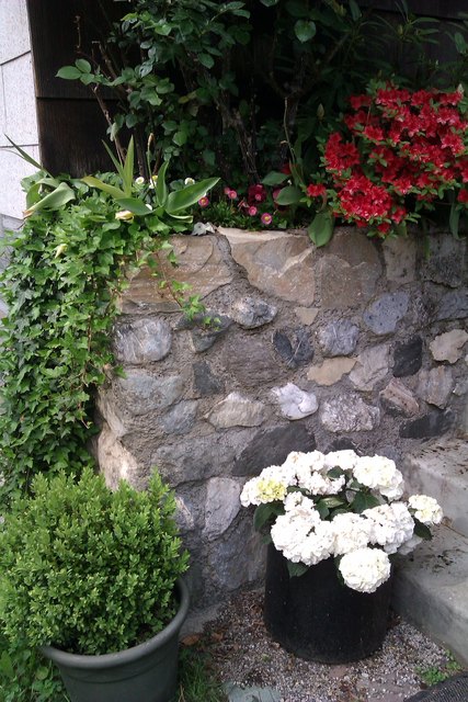 Blaue Hortensie ... von Rainer Maria Rilke - Villach