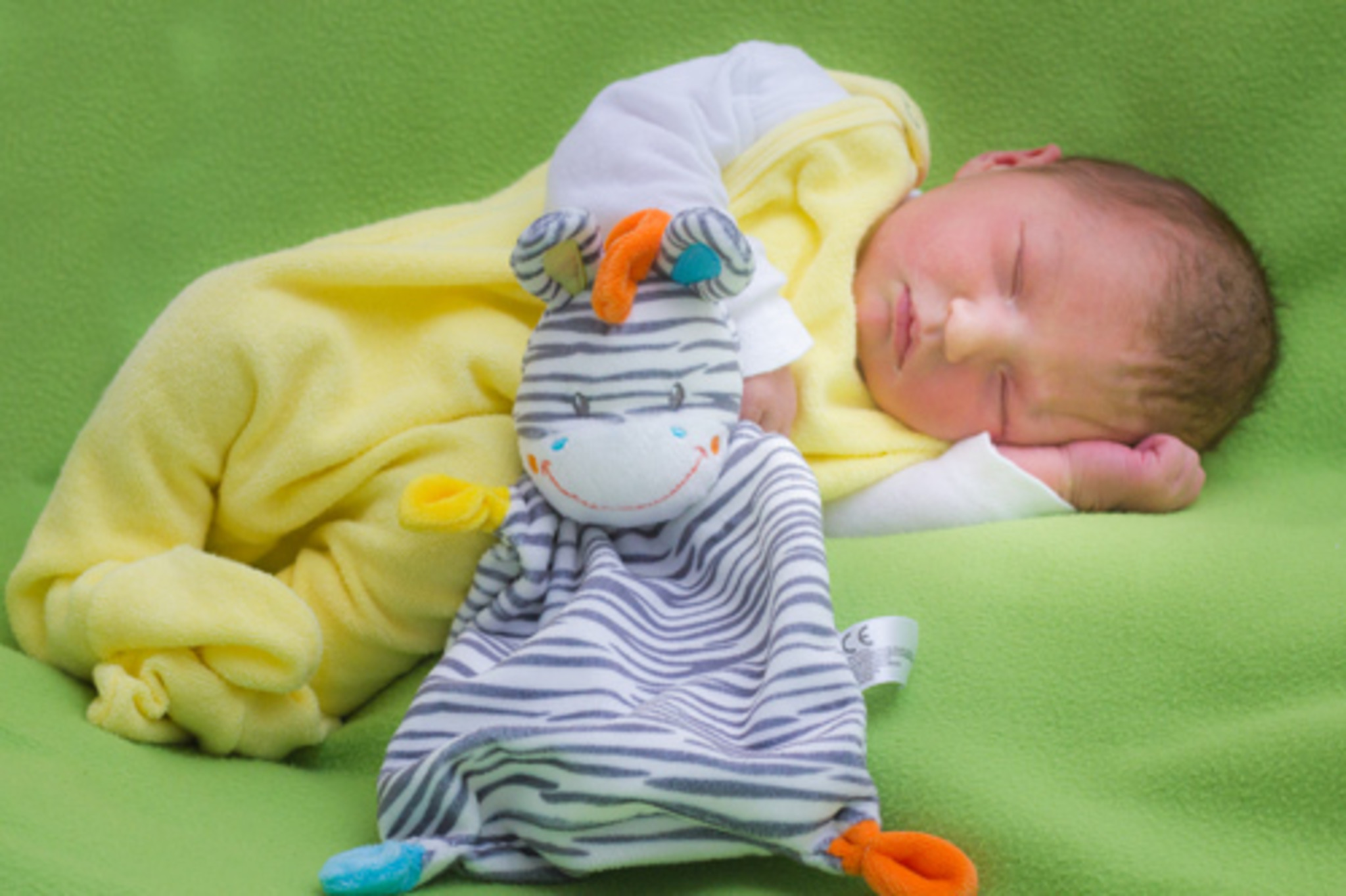 Lena Maria Enzinger - Krems